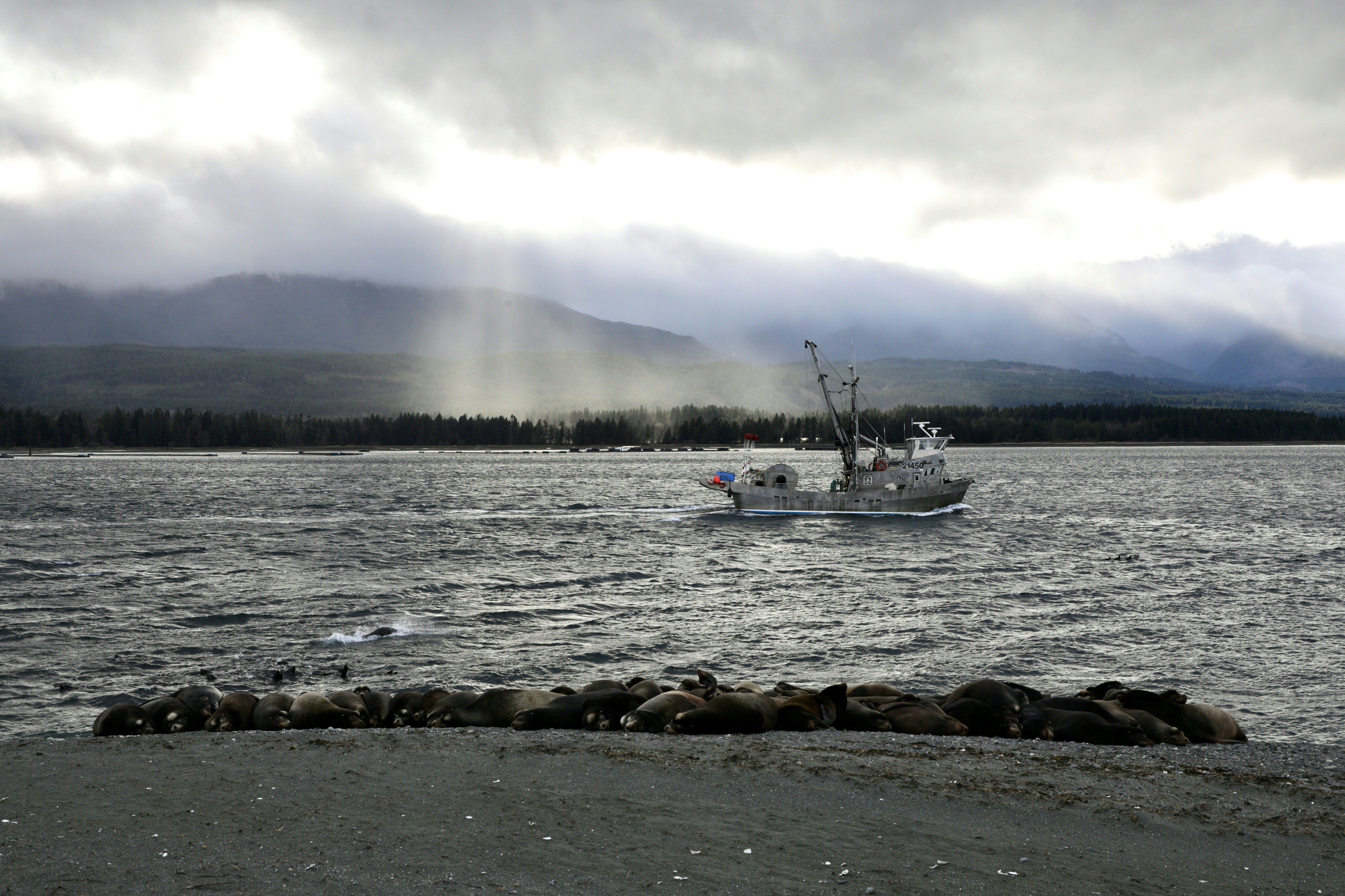 Workboat on a Misty Lake: Toward Quiet Horizons