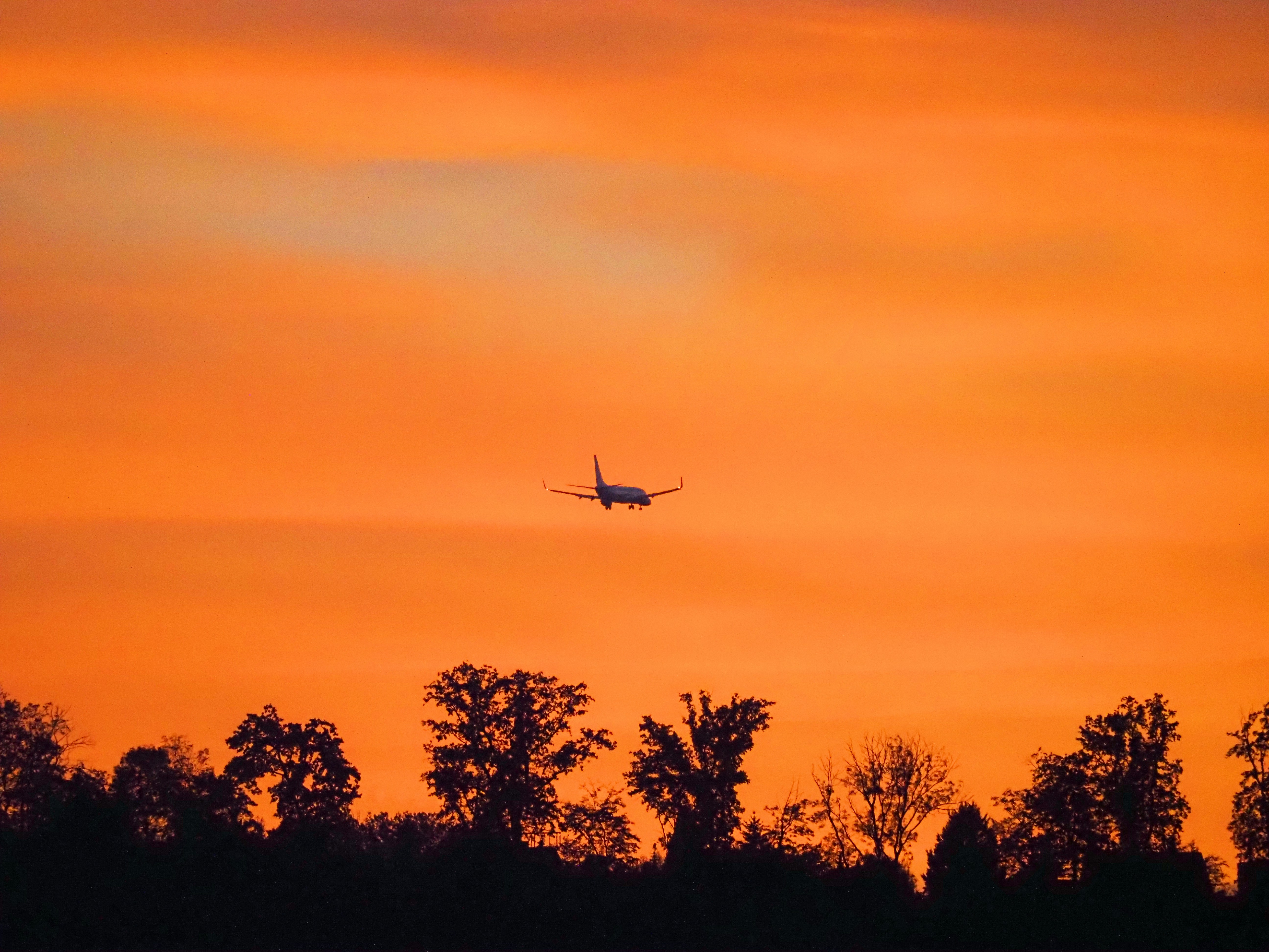 Silhouette Flight at Sunset