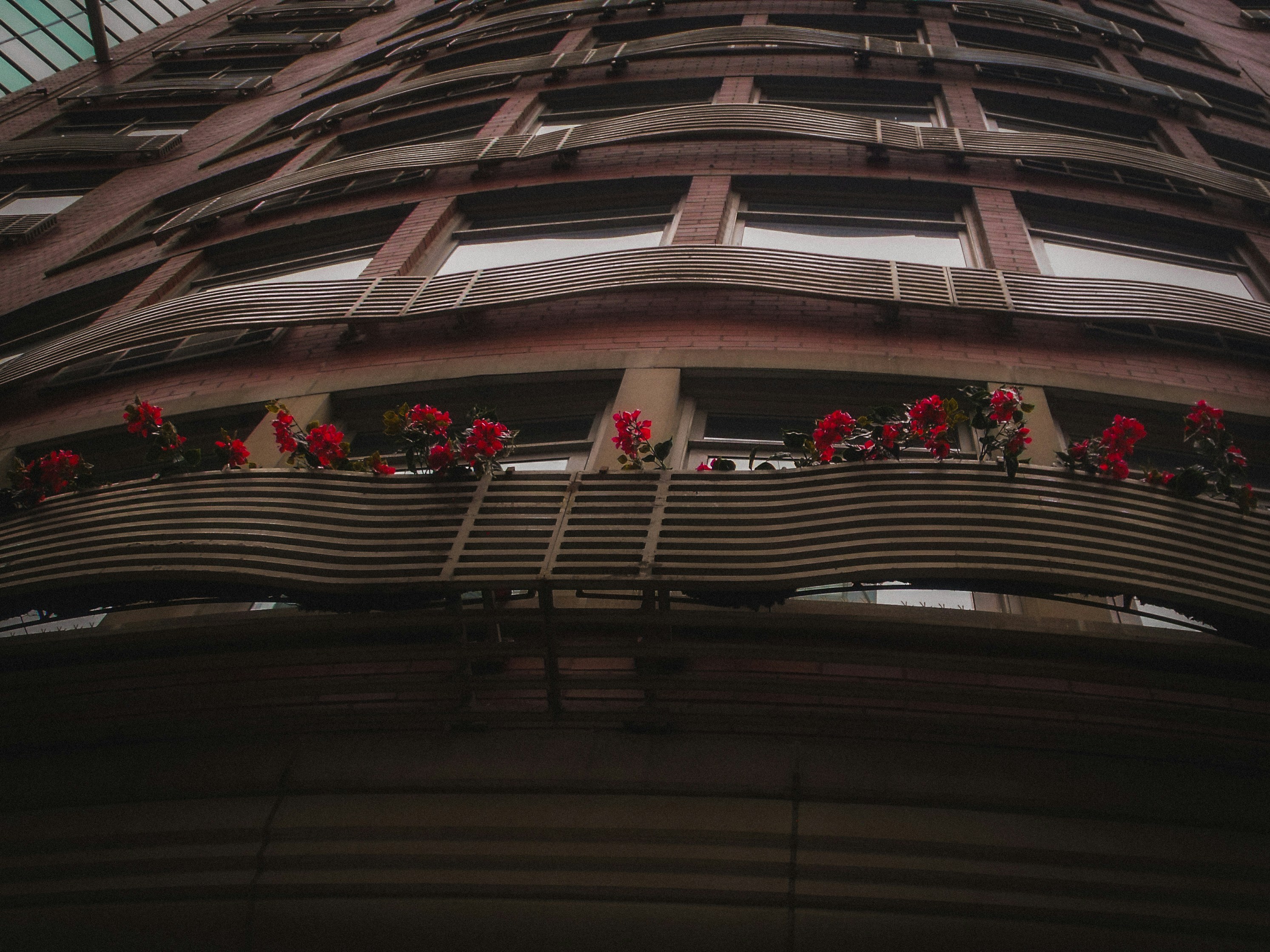 Detail of a curved building with red flowers on balcony