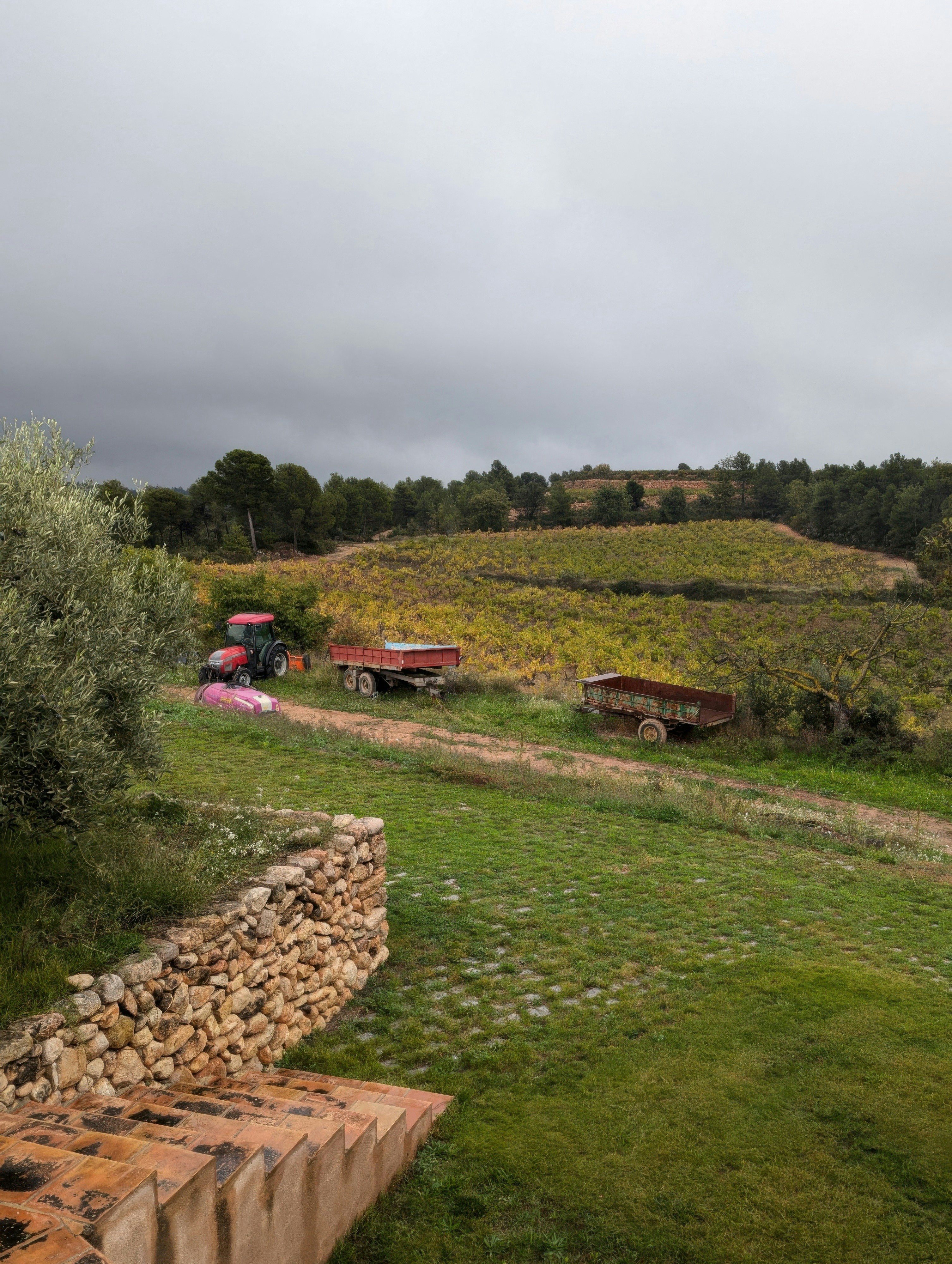 Harvest Lane: Tractors Resting Against a Quiet Hill