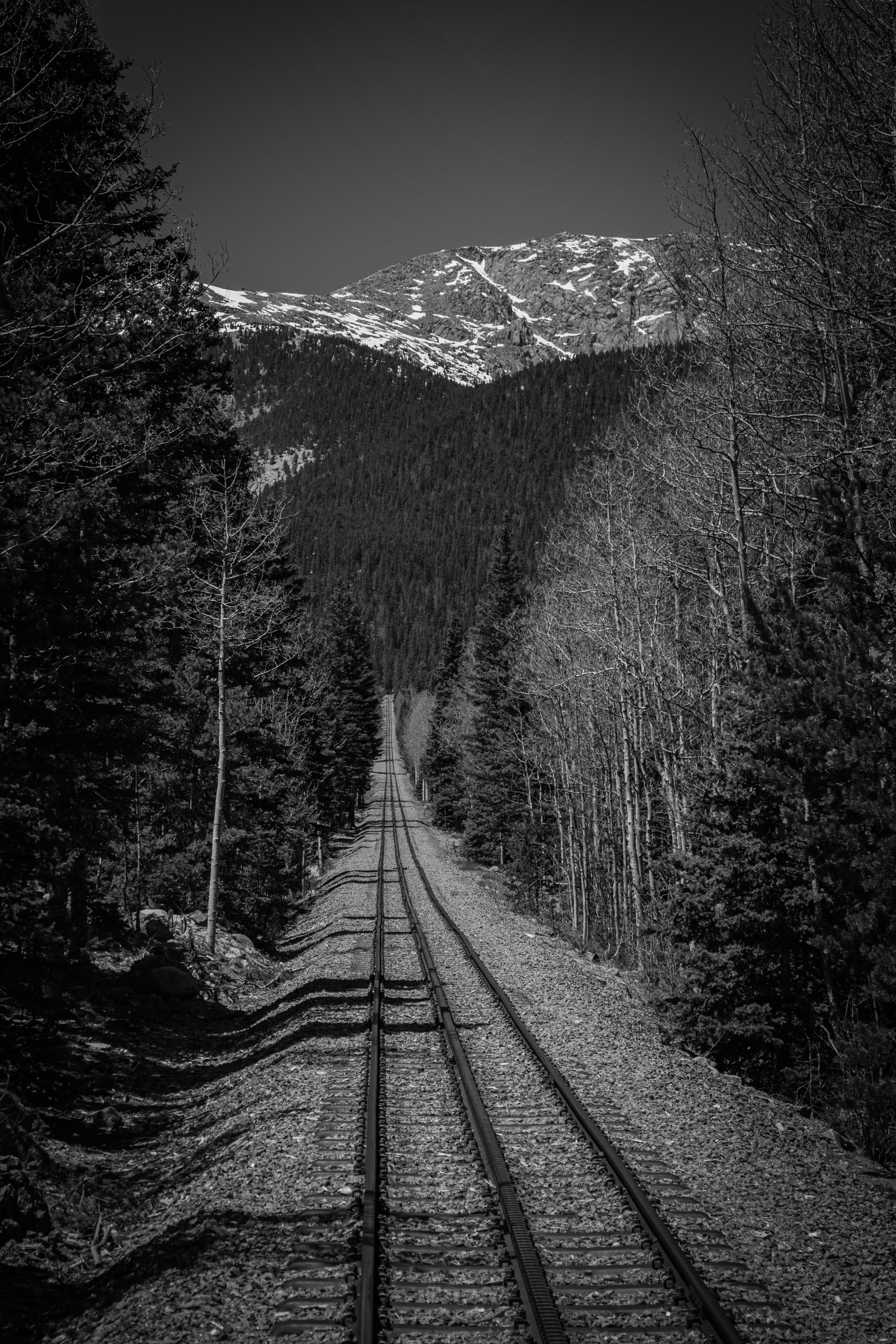 Awaiting the Mountain Echo: Rails Through a Narrow Winter Forest