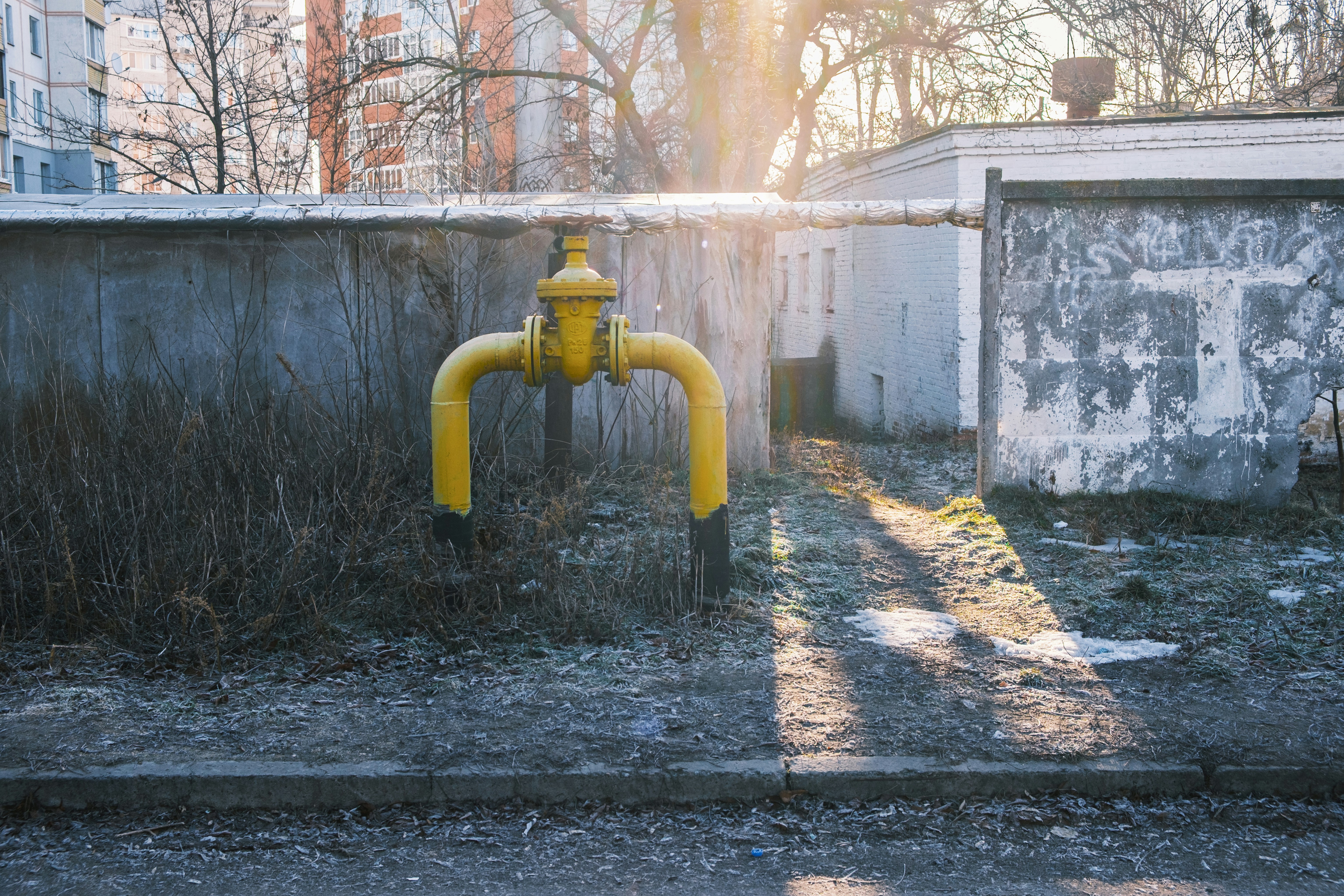 Golden Pipe in Winter Light