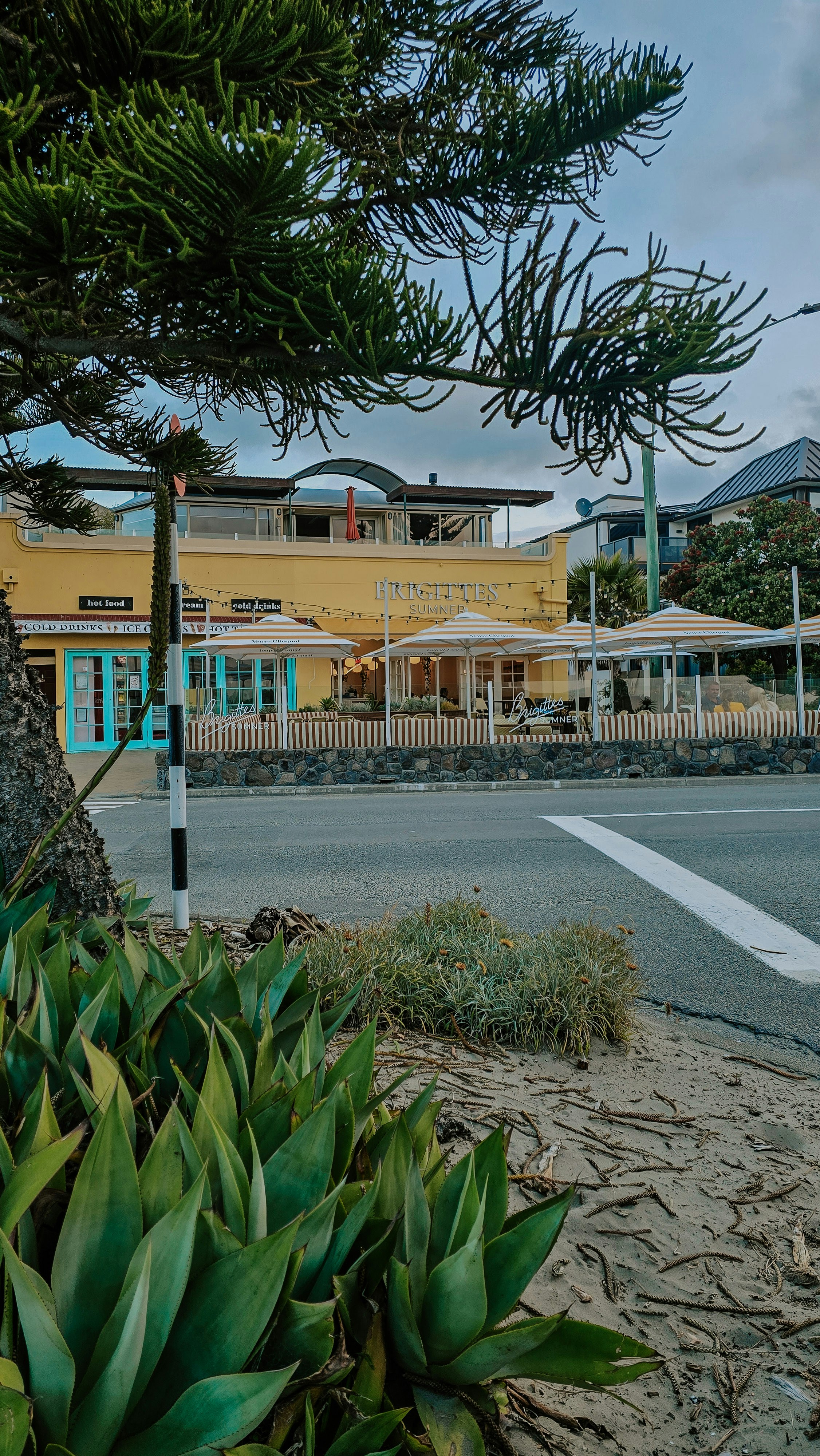 Sunlit Café Row Framed by Coastal Foliage