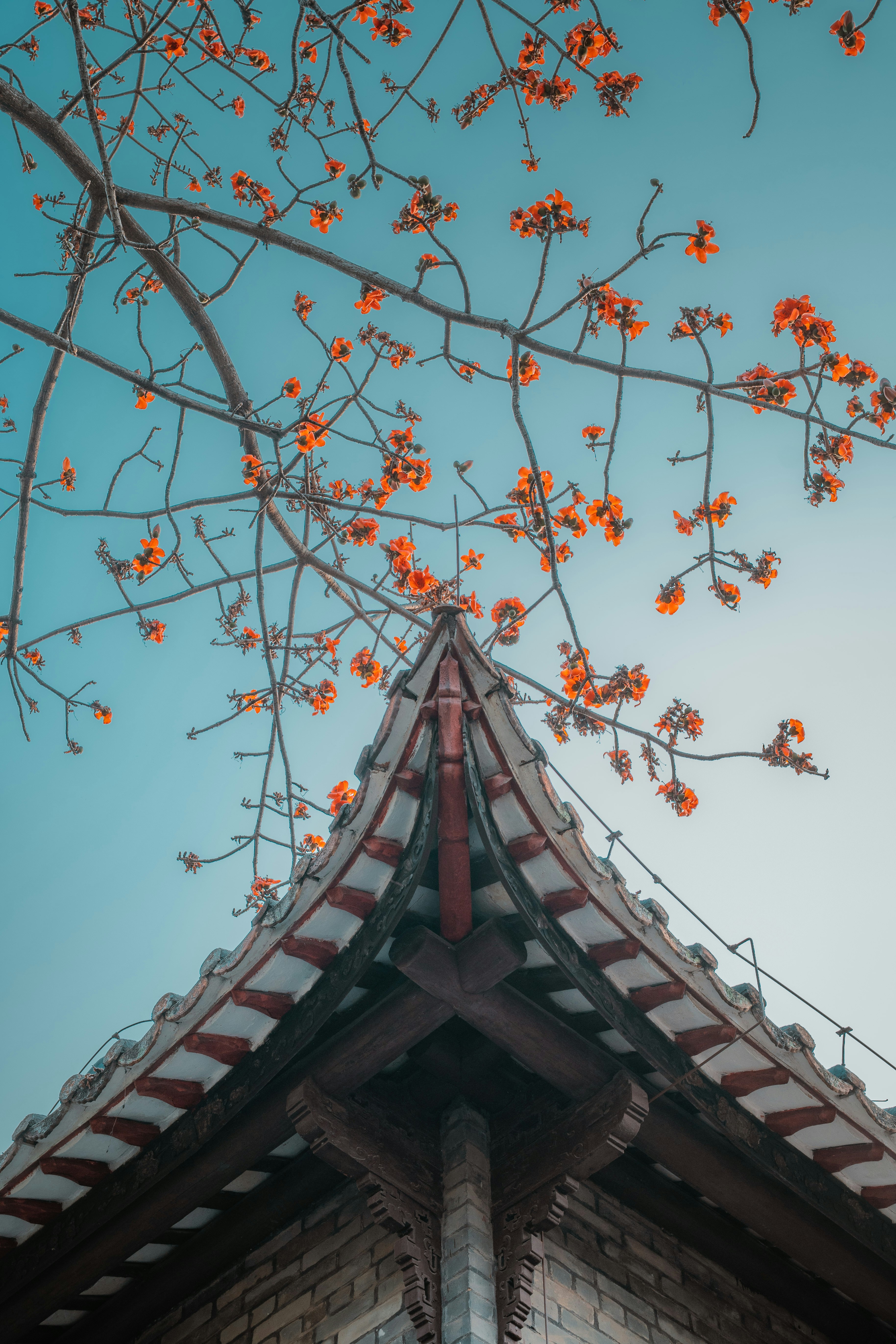 Temple Roof Meets Autumn Veil: A Cornerstone Under a Sky