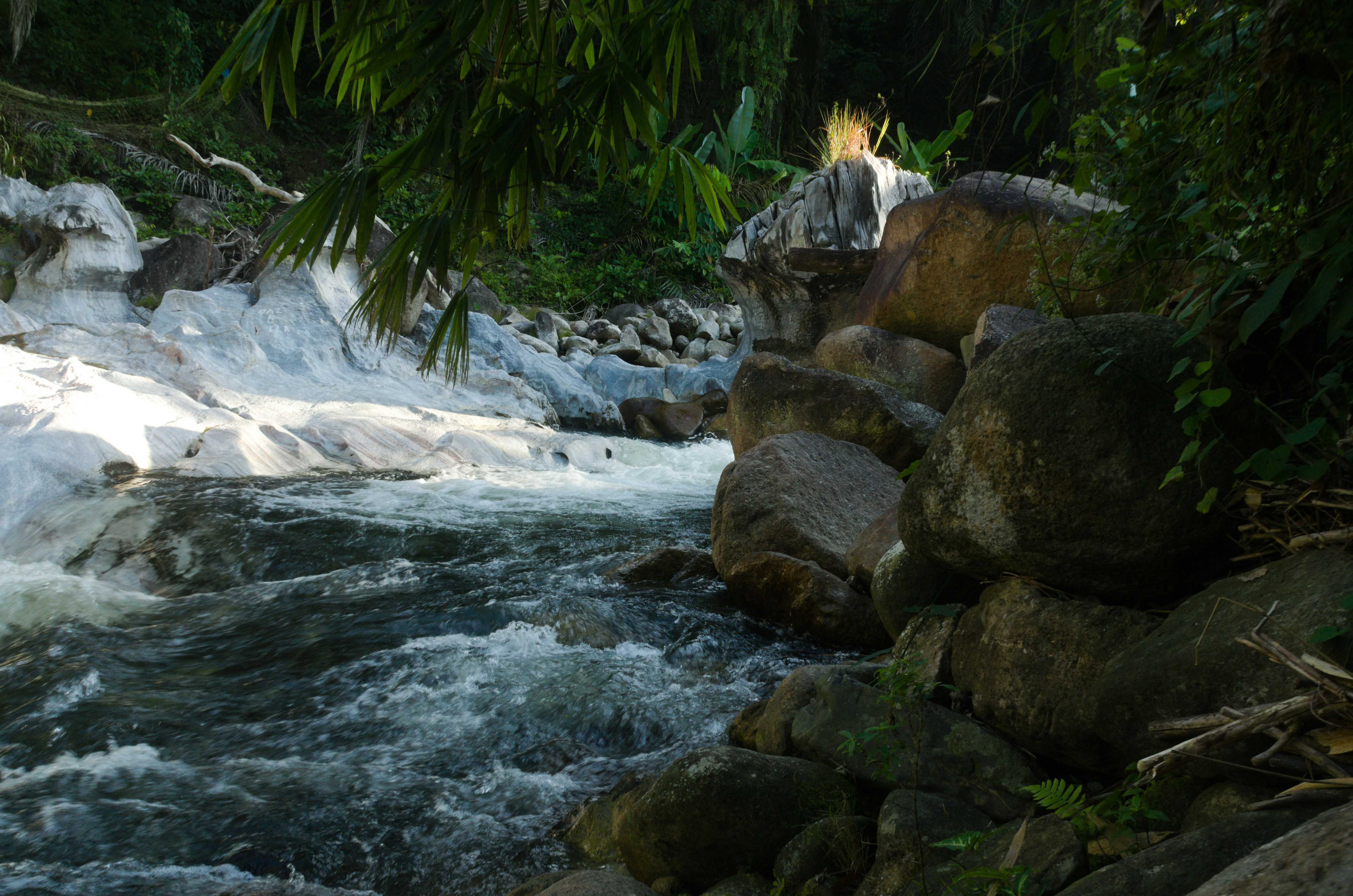 Rushing Stream Between Weathered Rocks and Lush Canopy