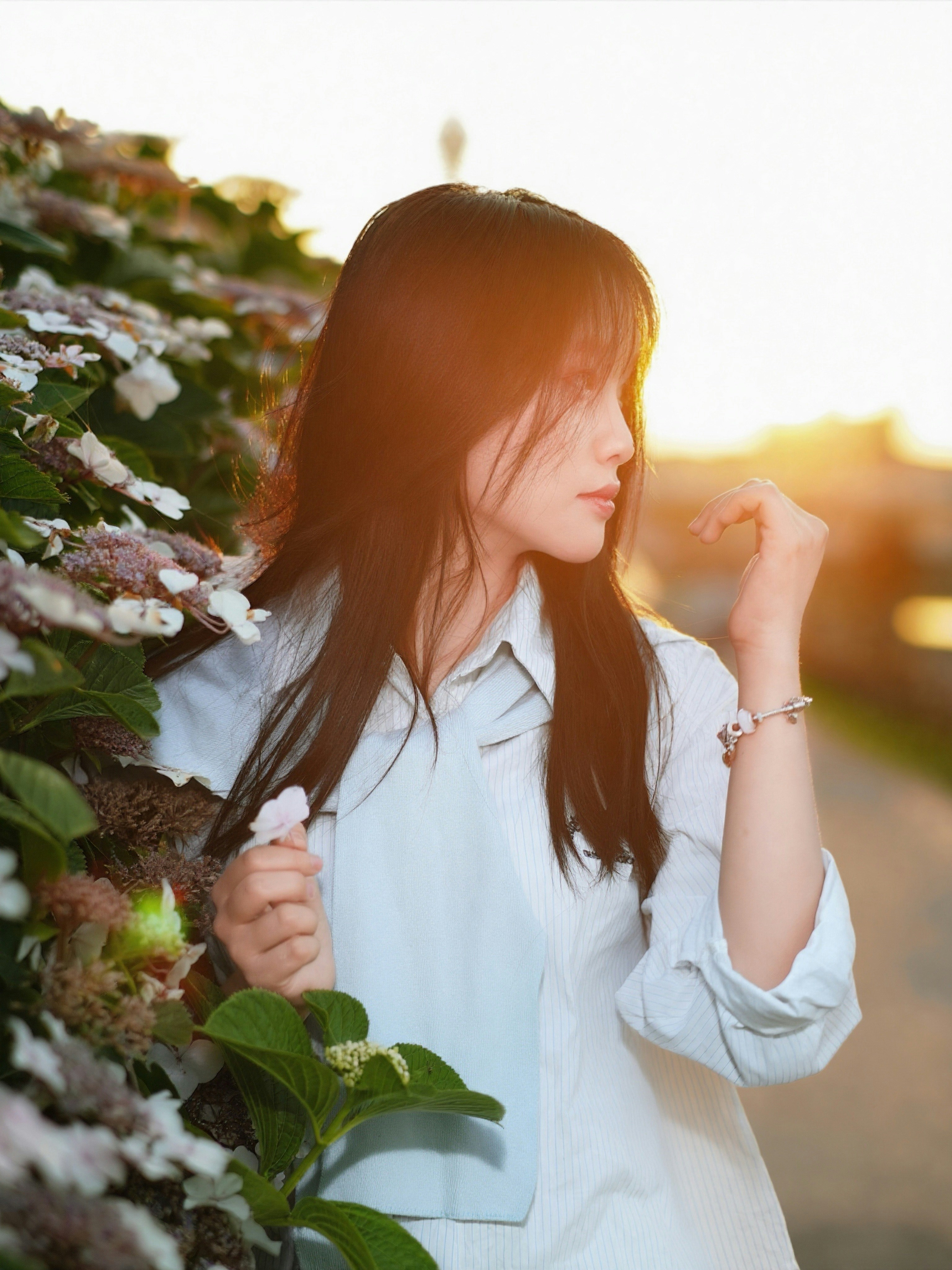 Golden Hour Echoes: Portrait in a Hydrangea Corridor