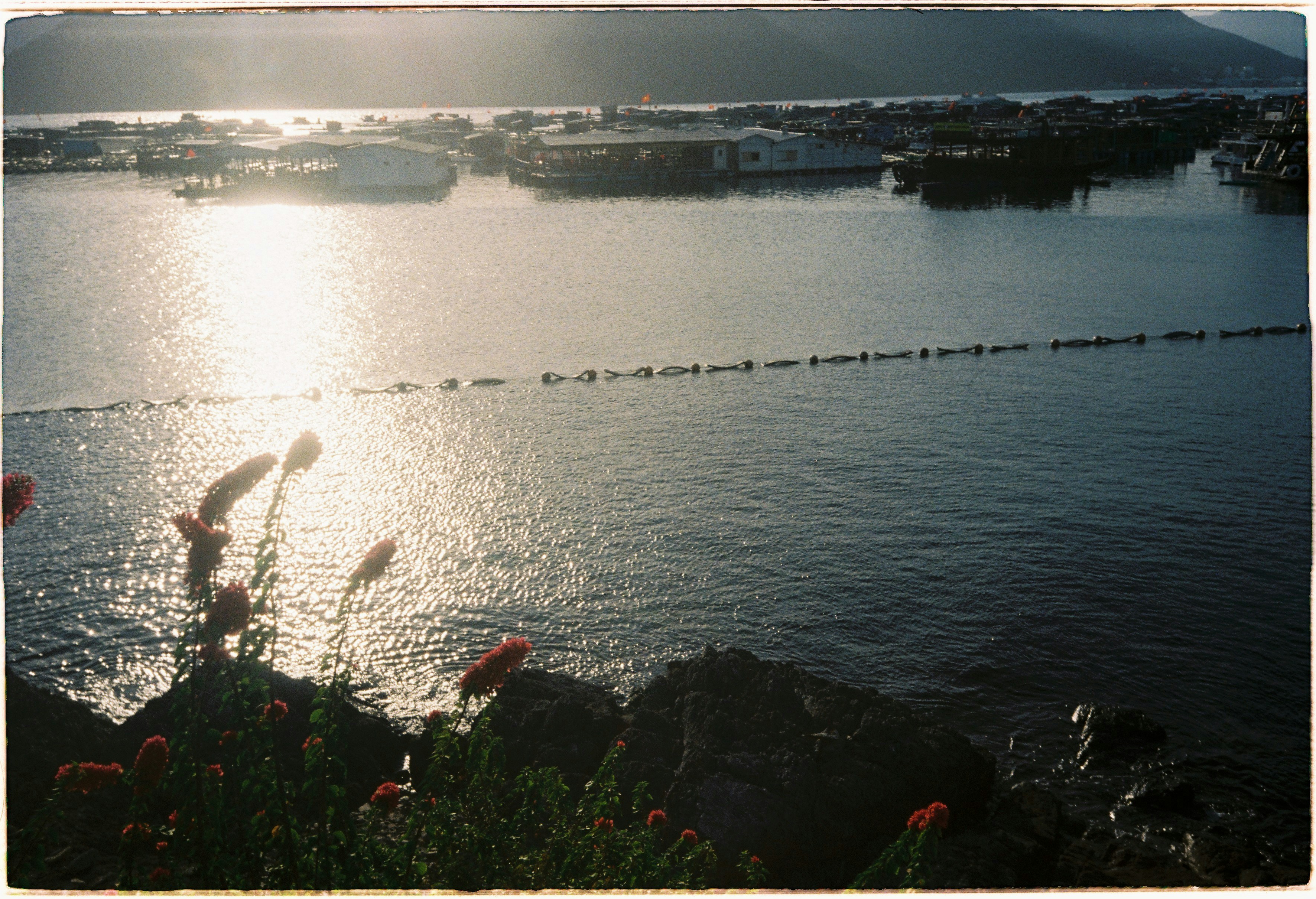 Golden Hour Moorings: Boats, Water, and Distant Skyline