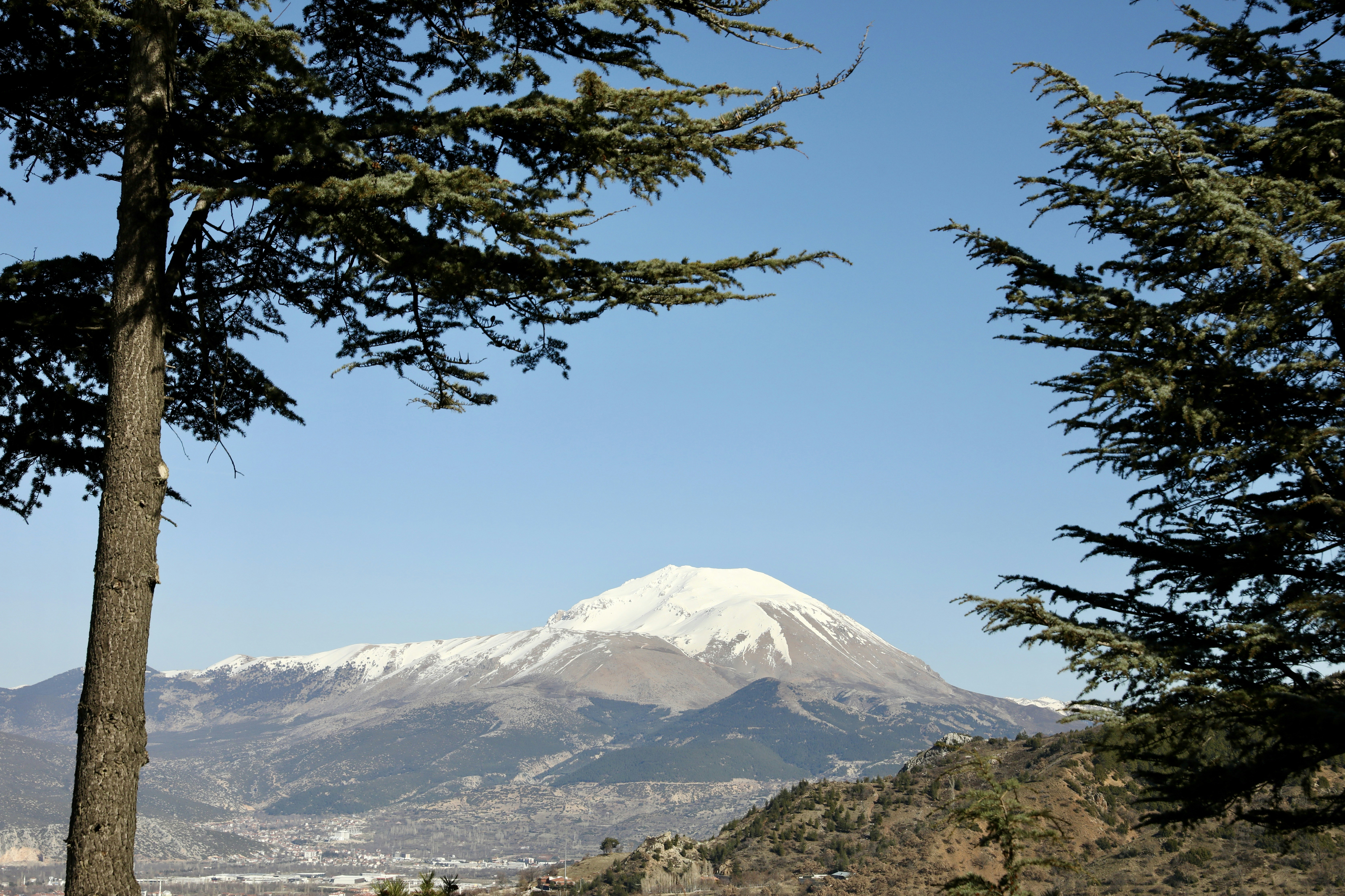 Snow-capped Peak Framed by Pines