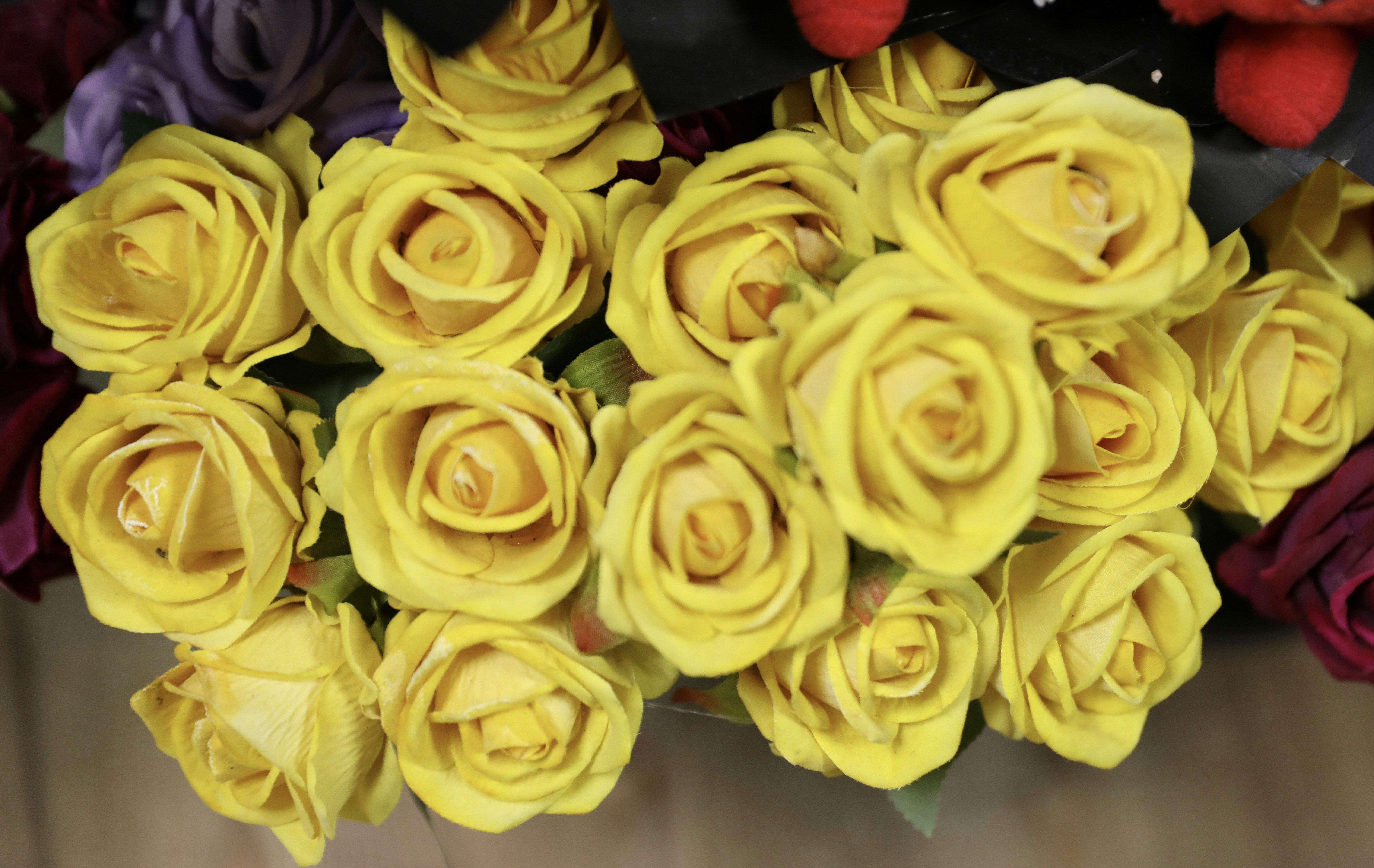 Sunlit Crown of Yellow Roses