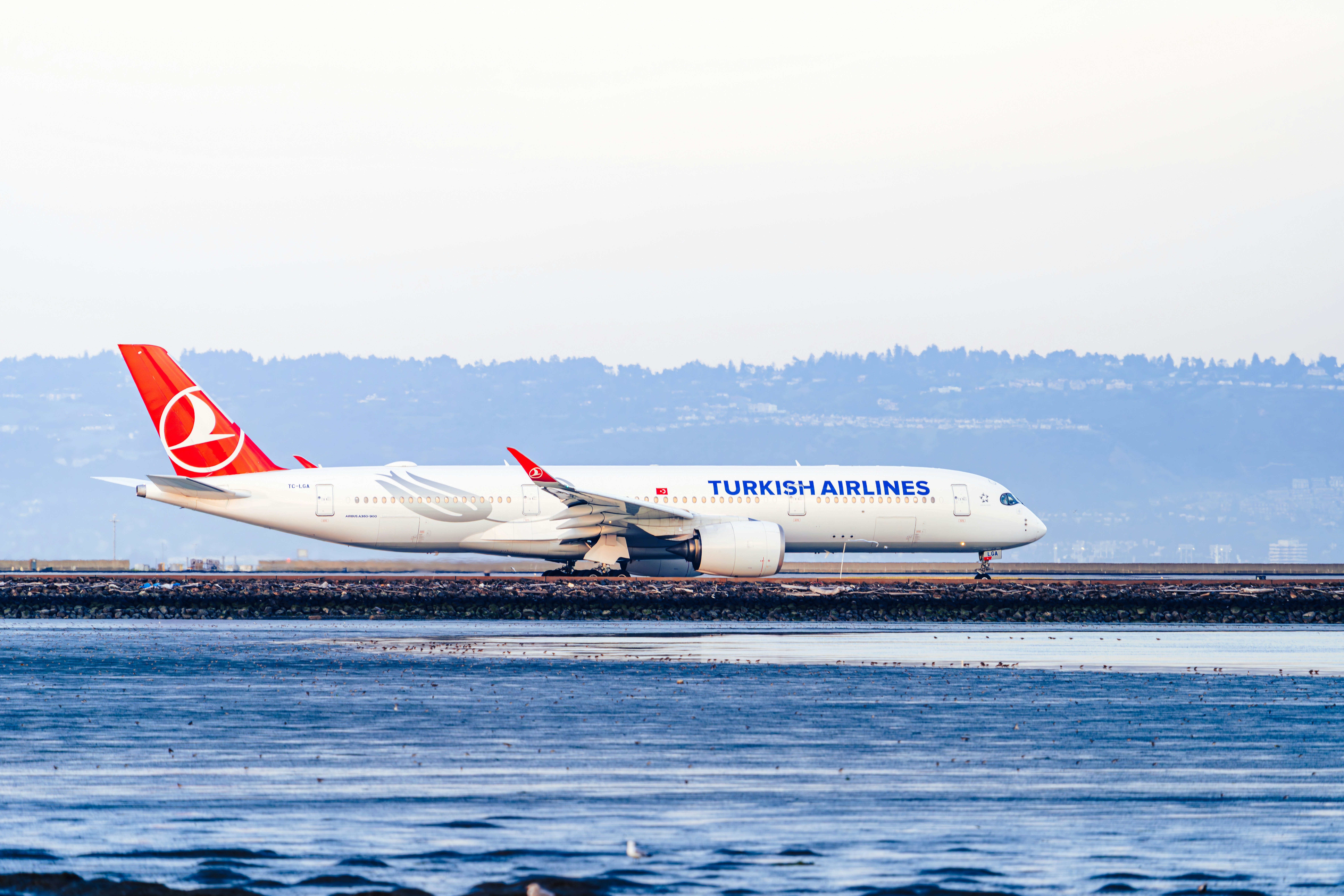 Turkish Airlines Dreamliner gliding past the water