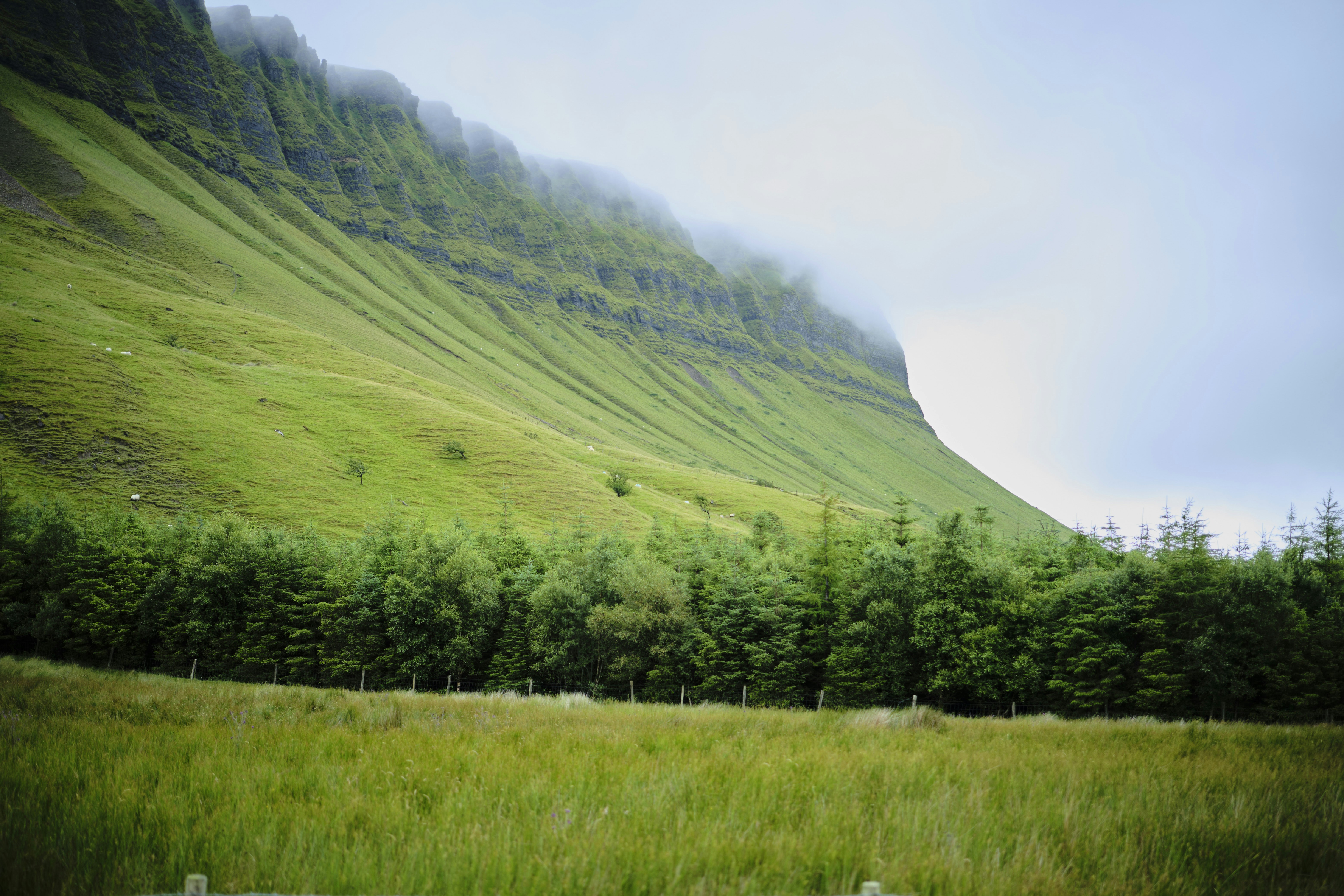 Green Slopes at the Foot of Misty Cliffs