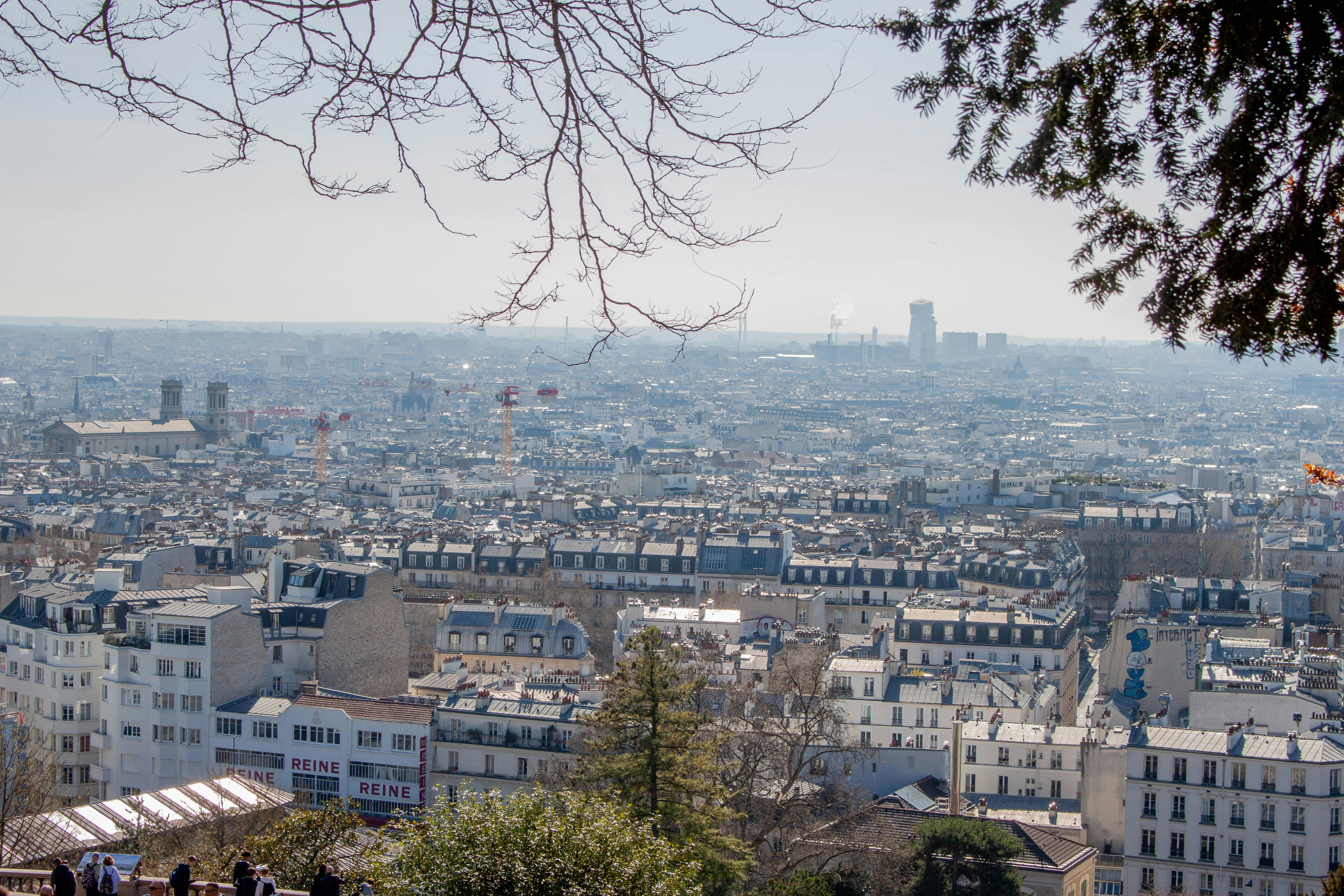 Mid-Summer Elevation: Rooftops and Skyline from a Terrace