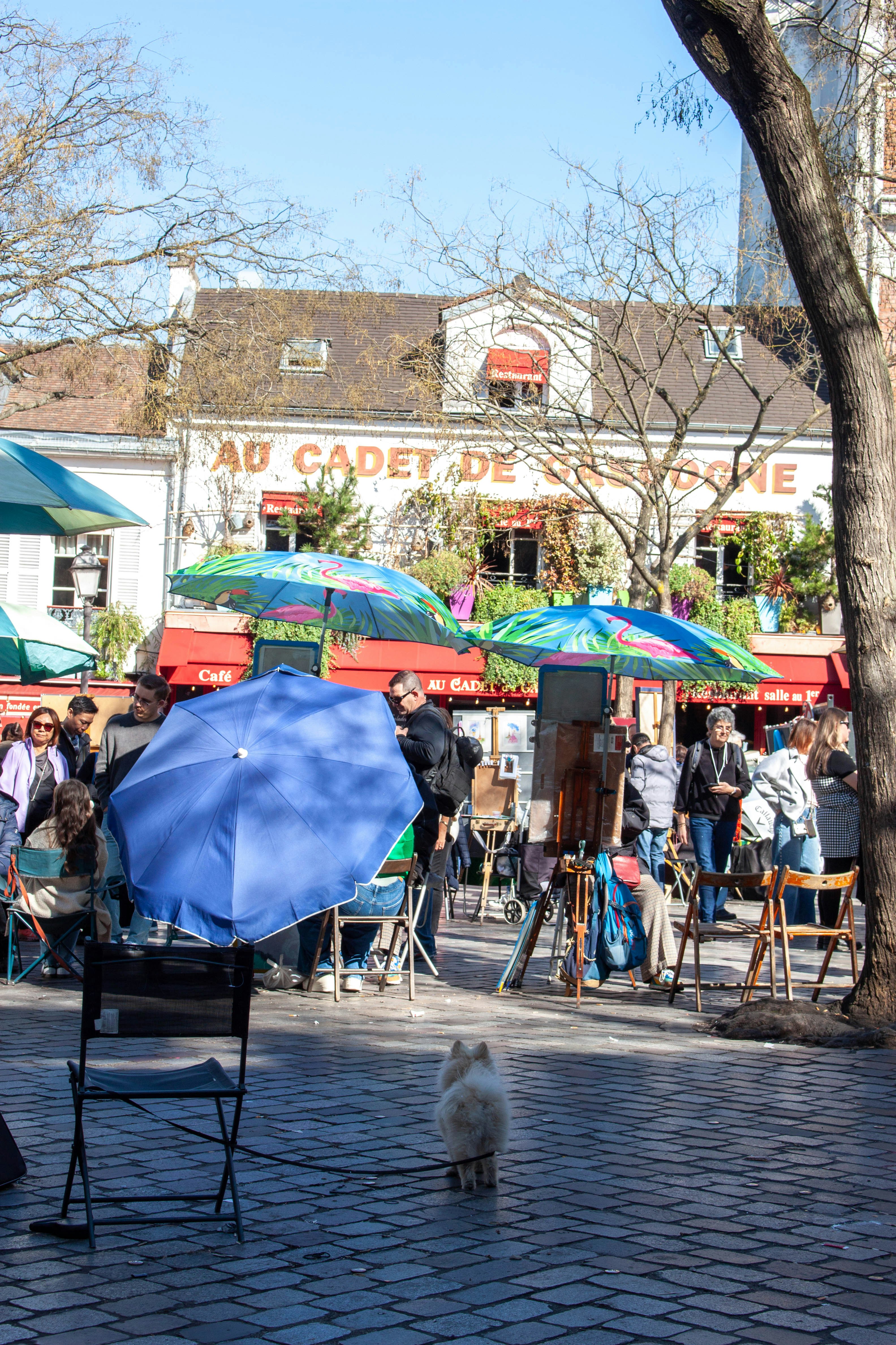 Café Courtyard in Bloom: Umbrellas, Umbrellas, and a Quiet Cat