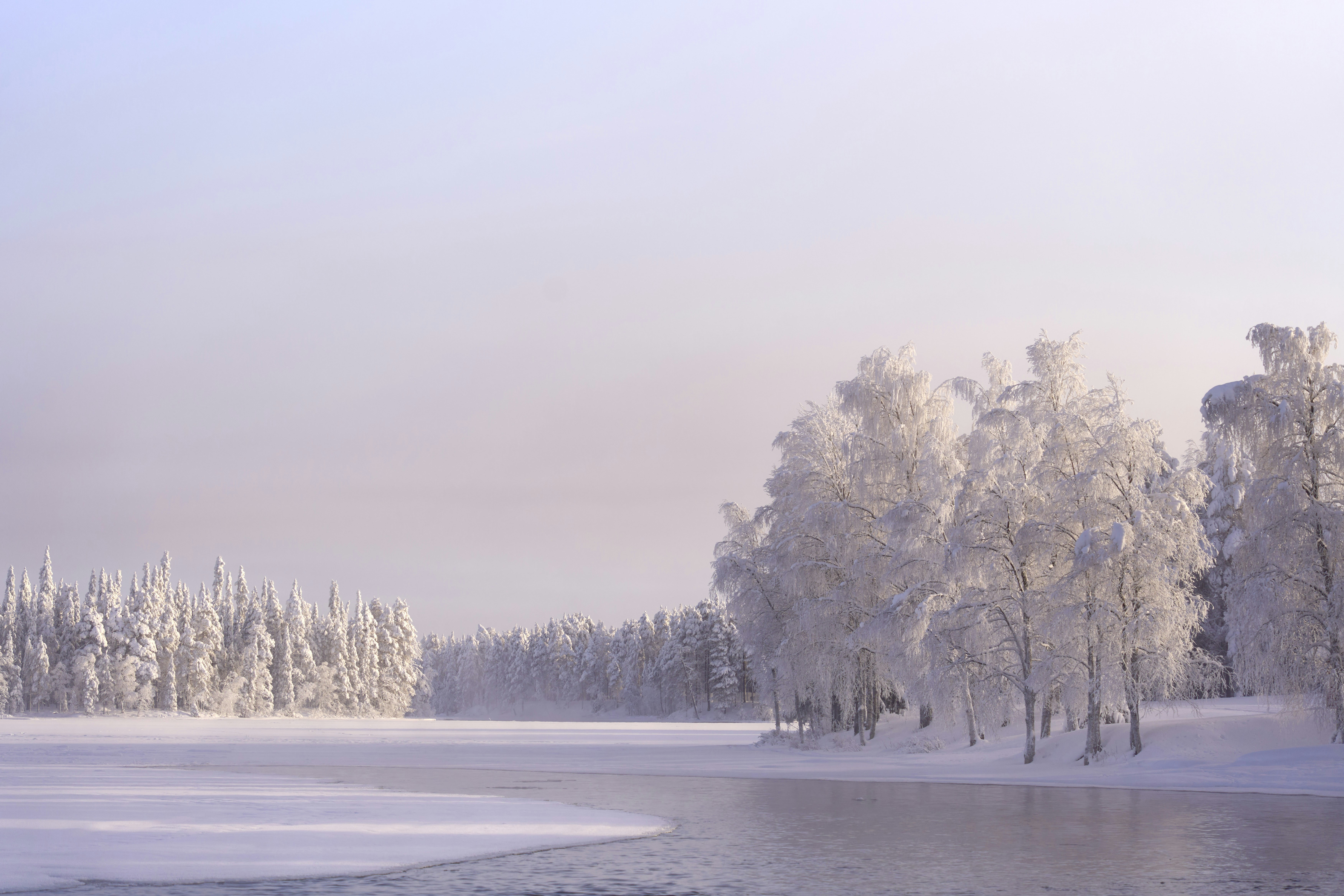 Silent Snow At The Edge Of Winter Lake