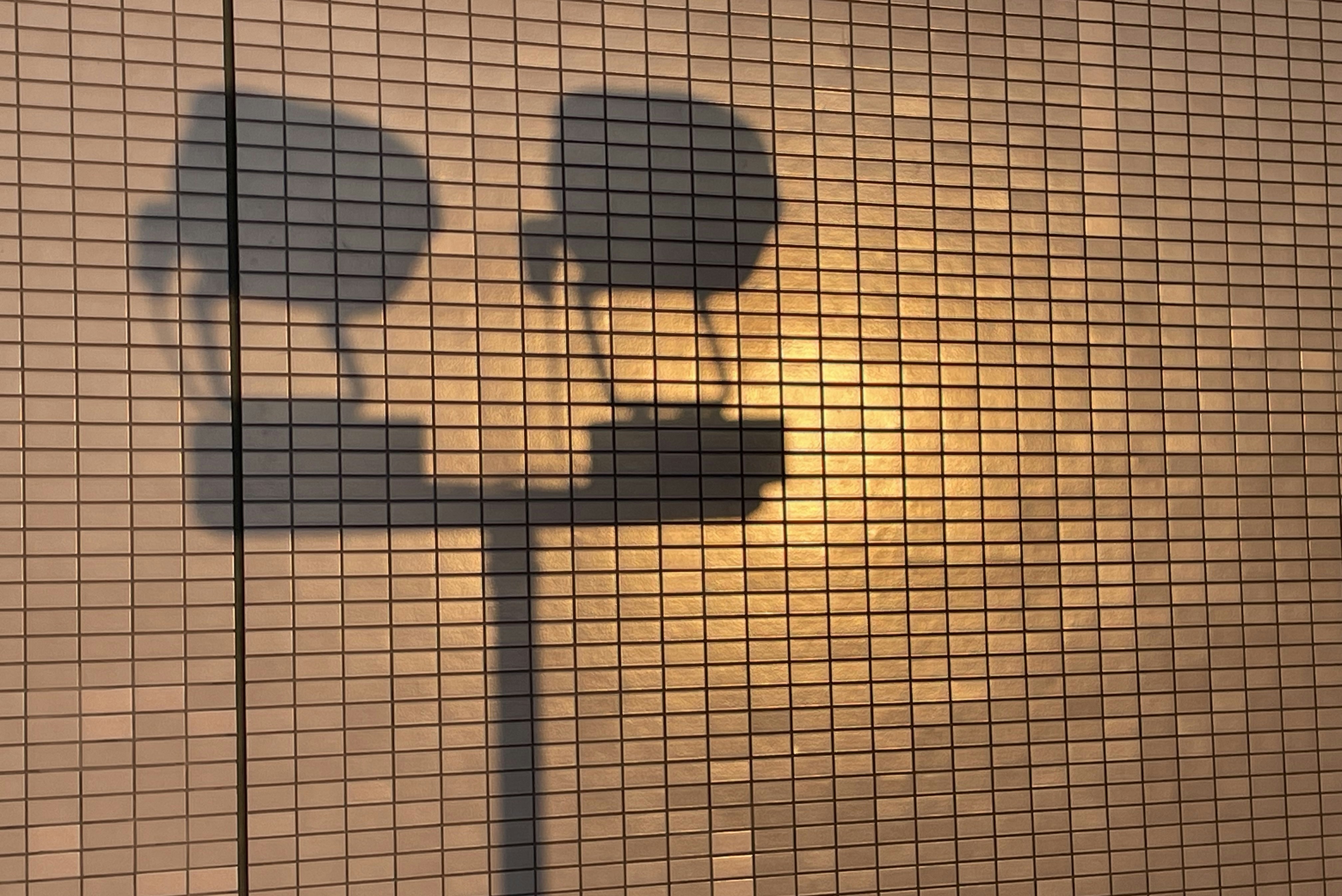 Shadowed Lamps on a Sunlit Facade