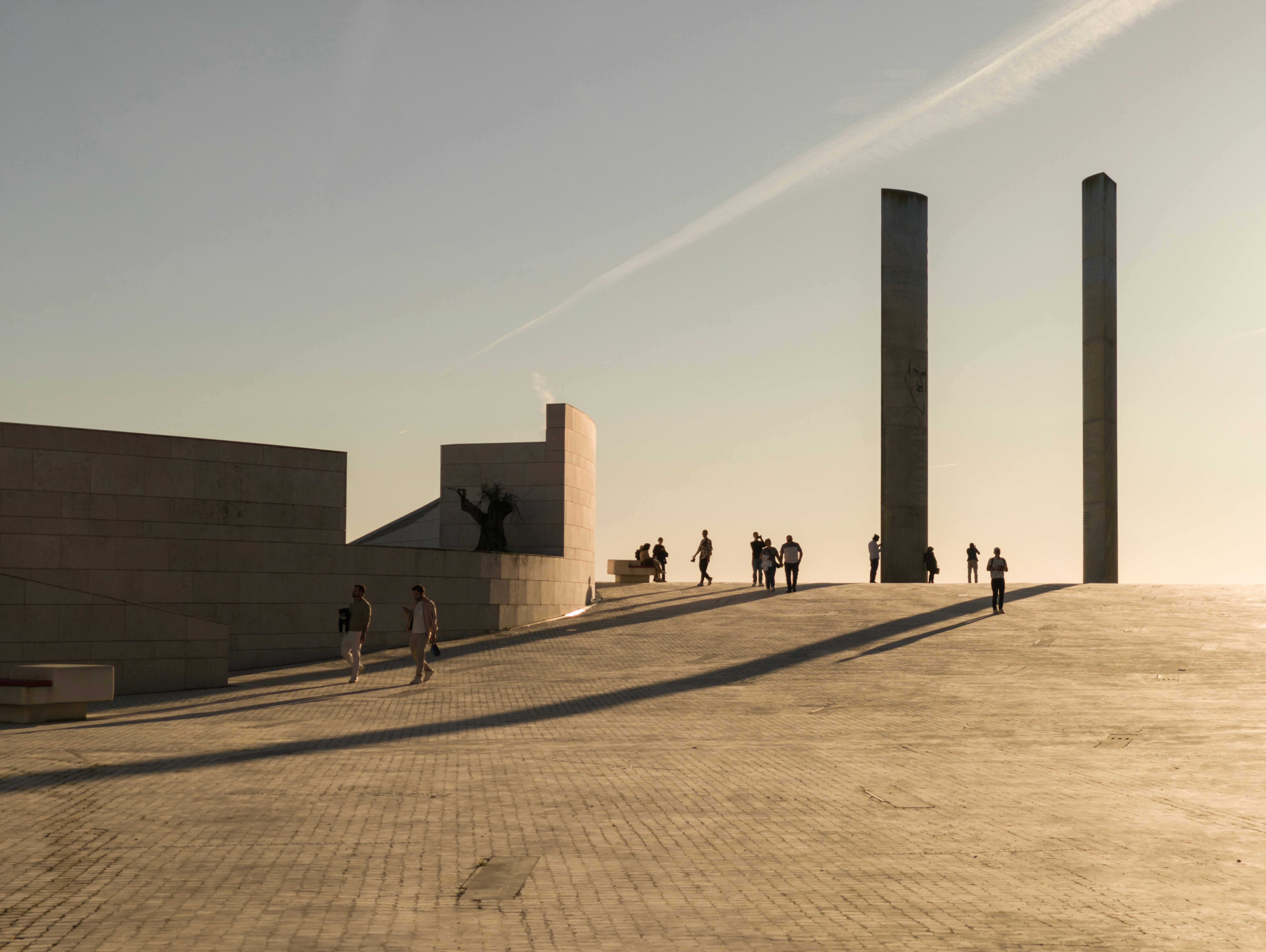 Champalimaud foundation