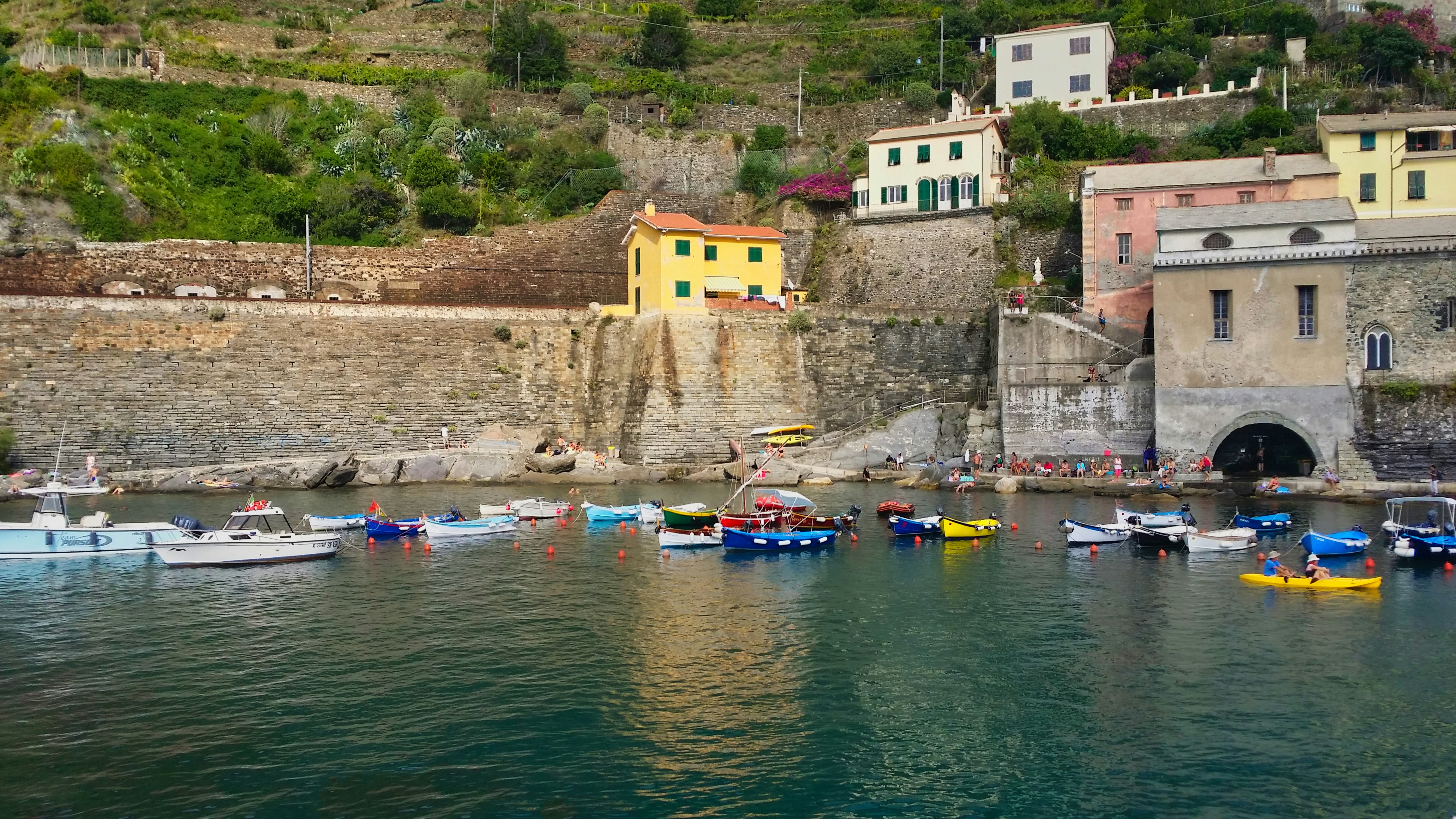 Boats docked in a harbor with colorful buildings on hillside.