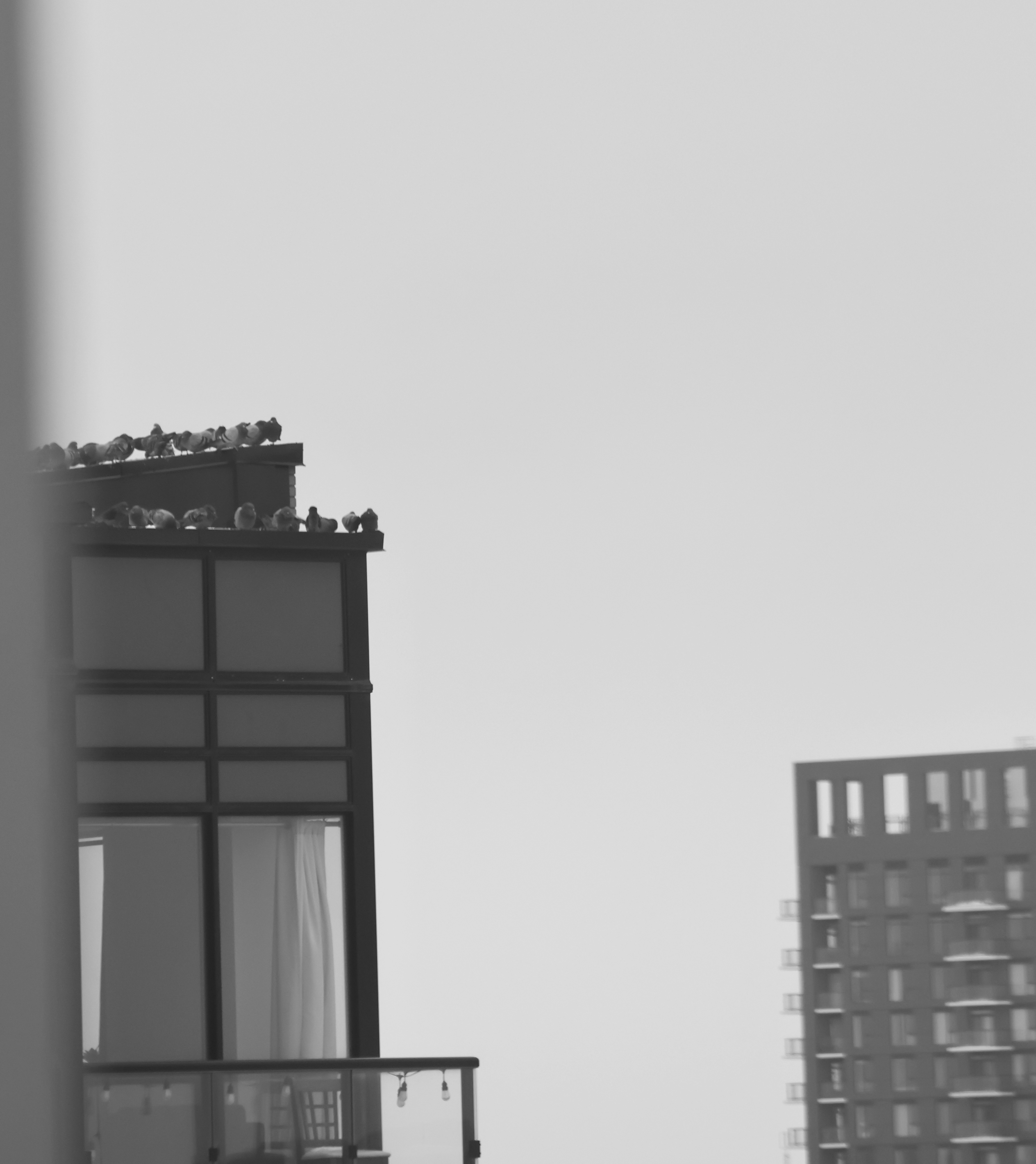 Urban Glass and Grid: Morning Light on Balconies