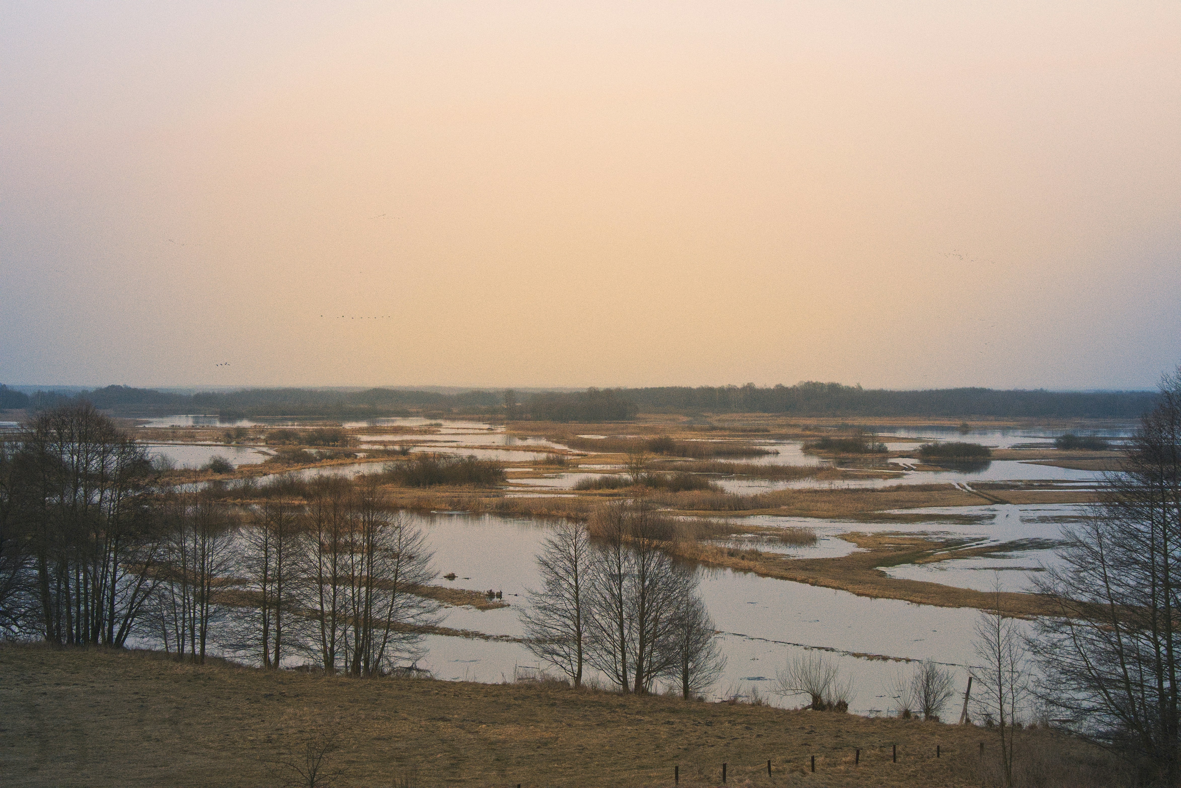 Sunset Over Wetland Mosaic