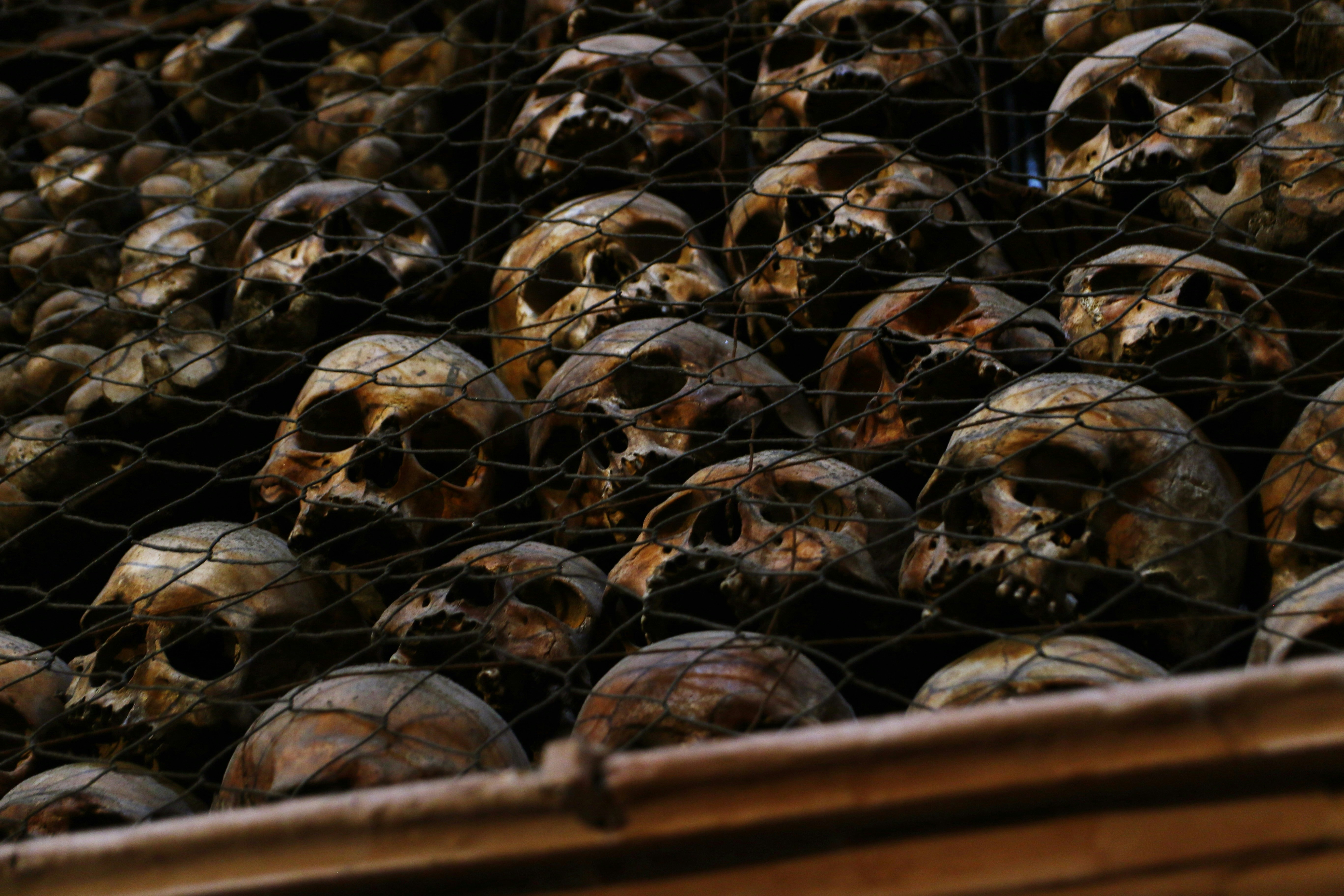 Barrel of Souls: a close-up of skulls behind wire mesh