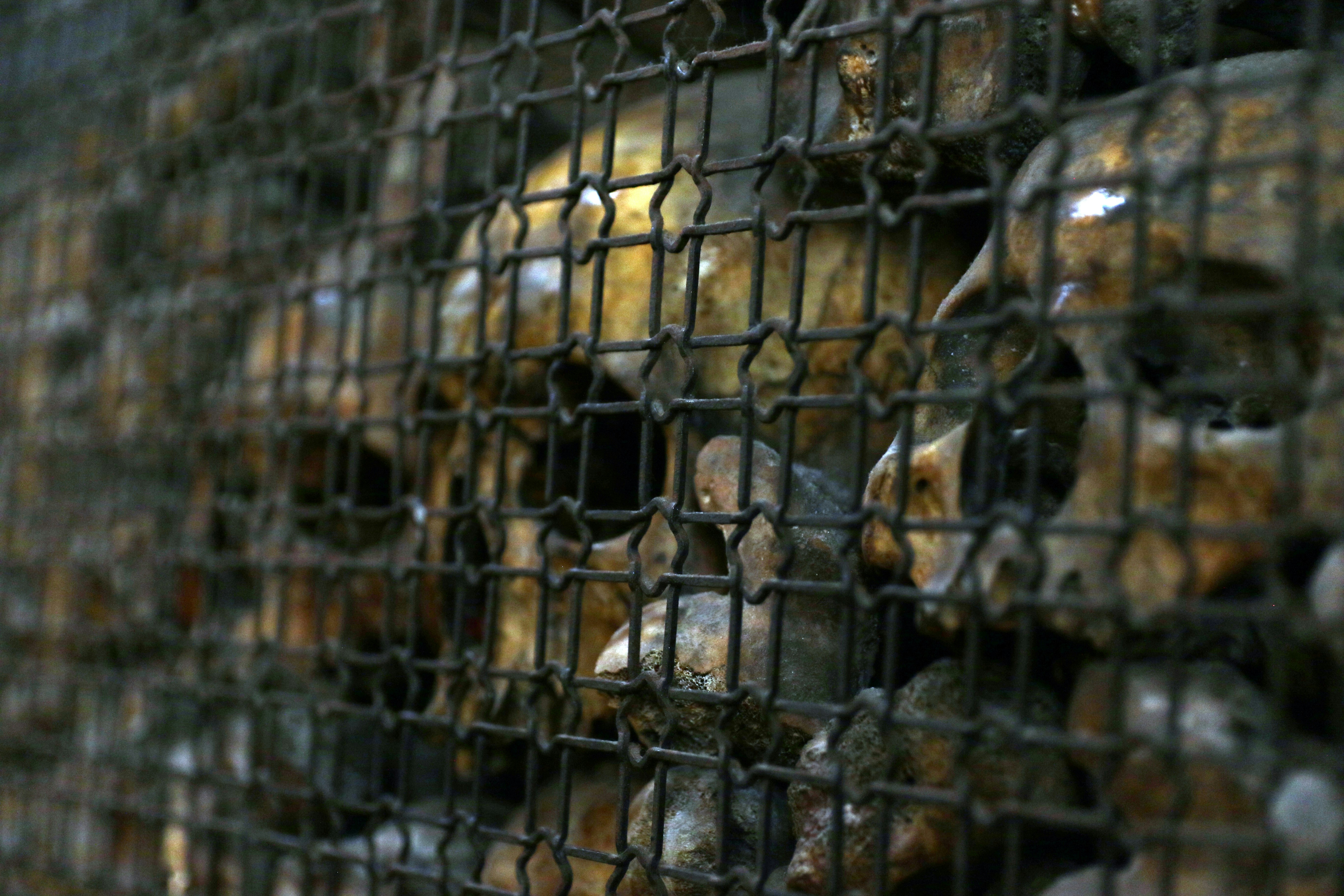 Grid of Stones: A Macro Gaze Through Ferrous Mesh