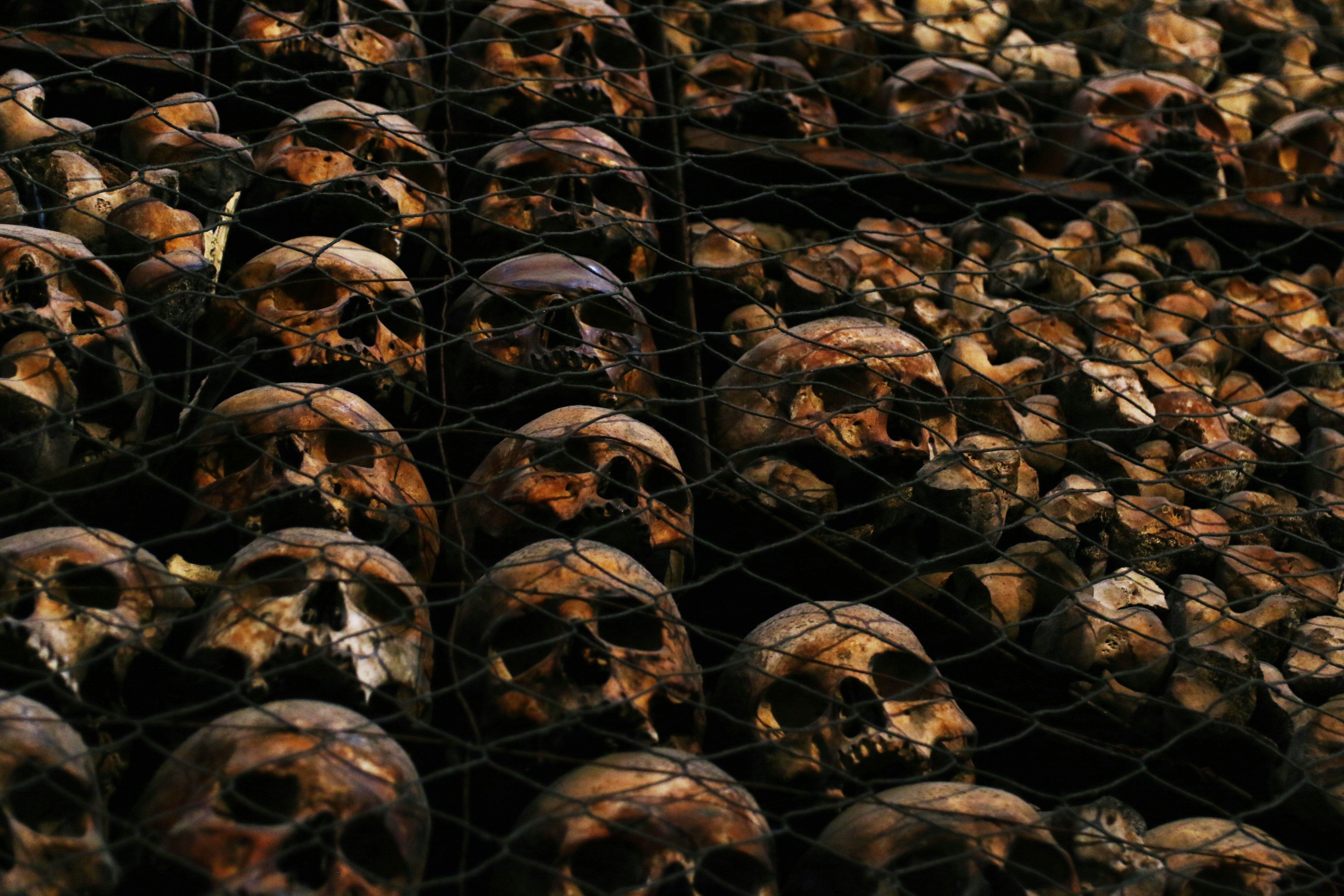 Echoes of the Cage: Rows of Mortal Remains Under Mesh