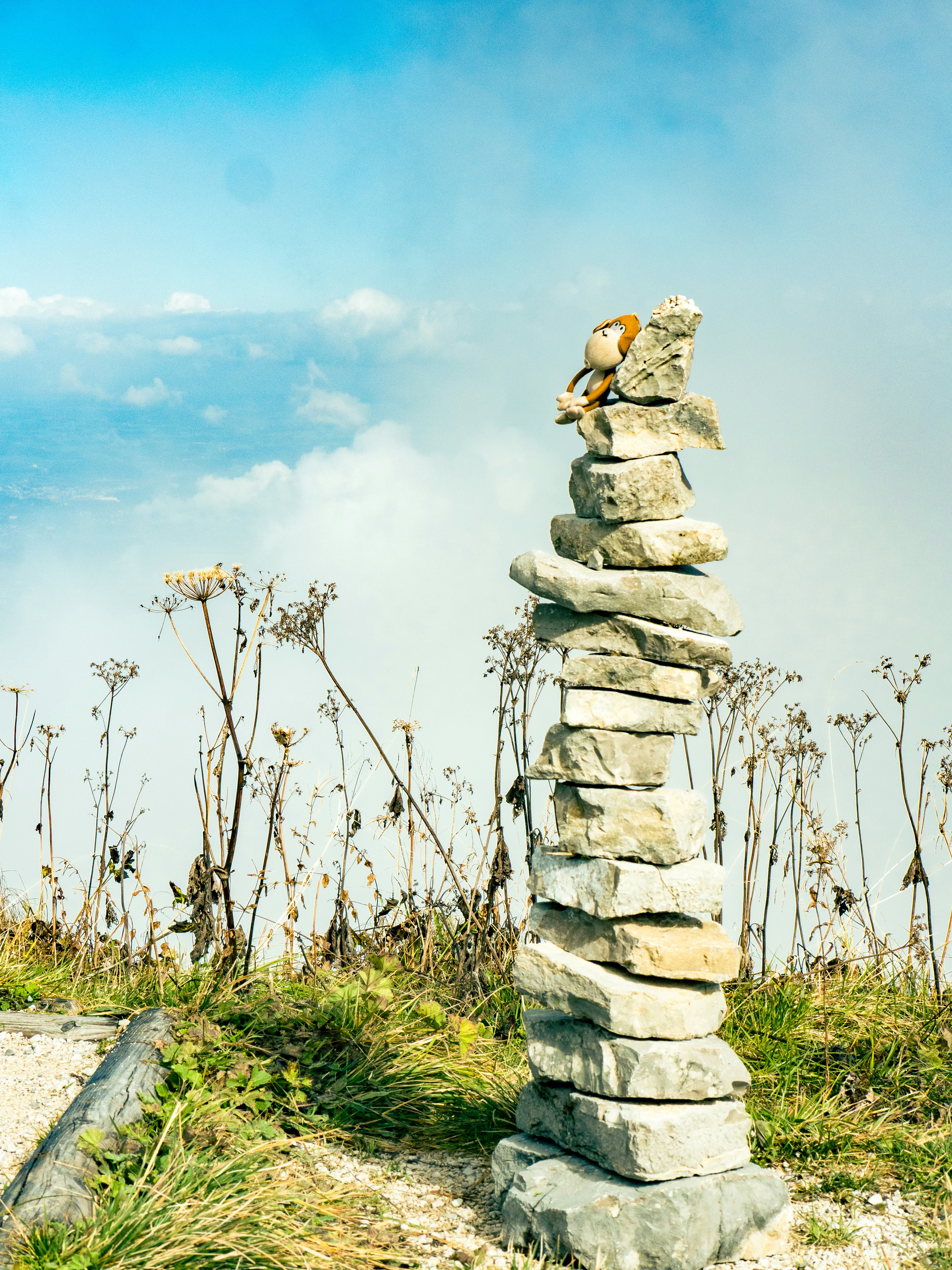 Stone Stackkeeper: a lone cairn crowned by a perched parrot
