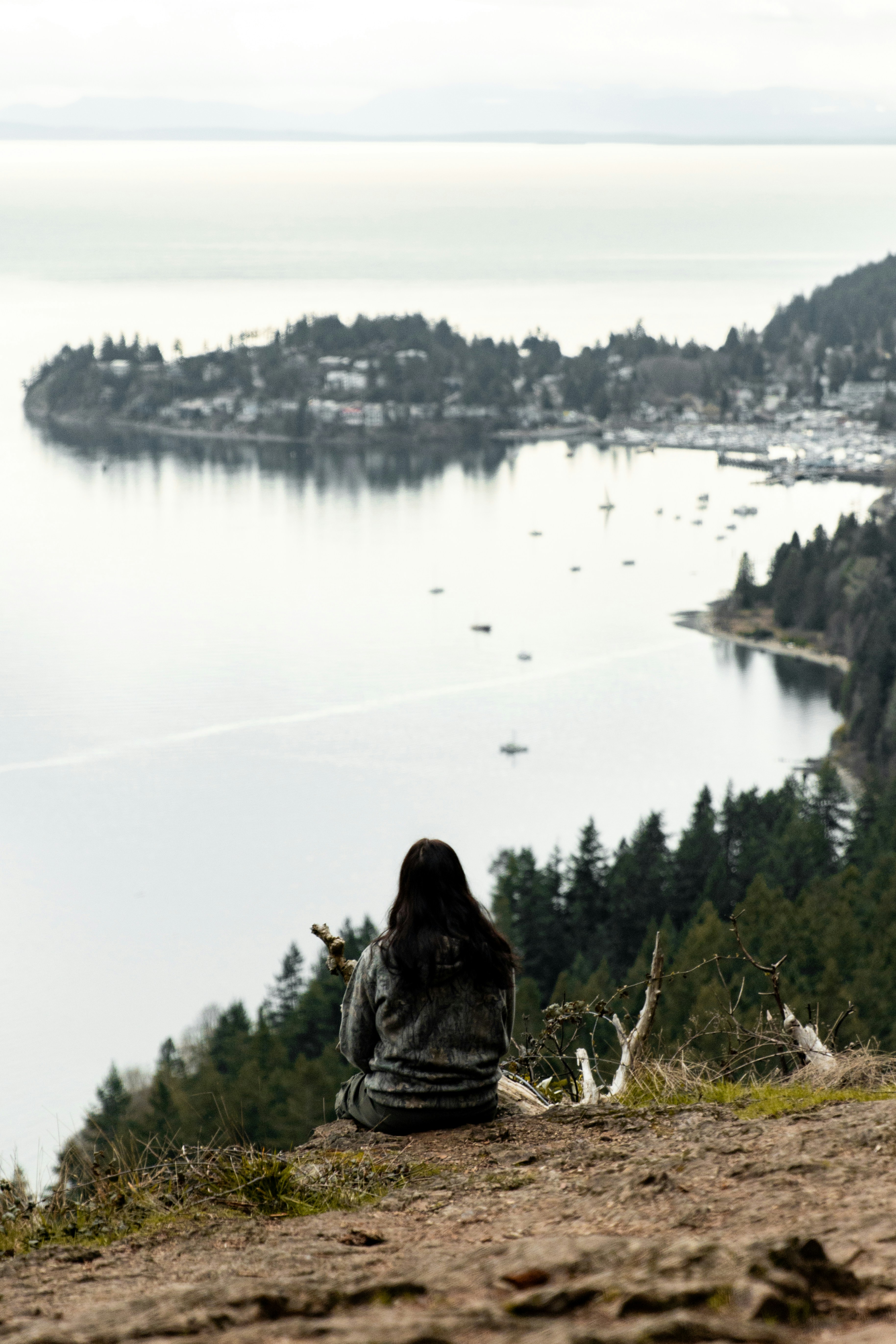 Hushed overlook: a solitary figure gazes over a calm fjord from a pine-strewn cliff