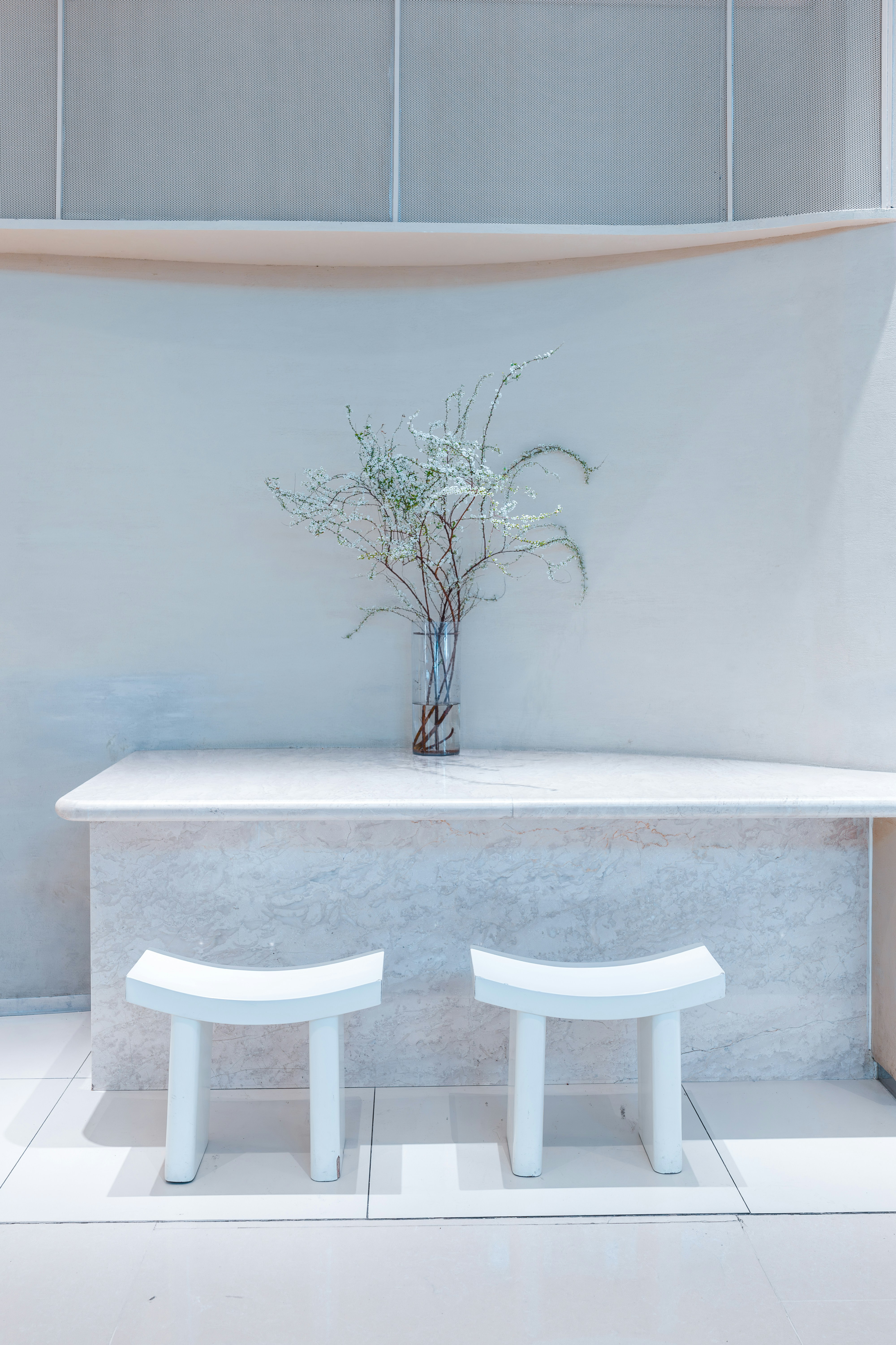 Minimalist Stillness: A Single Branch in White Architectural Light