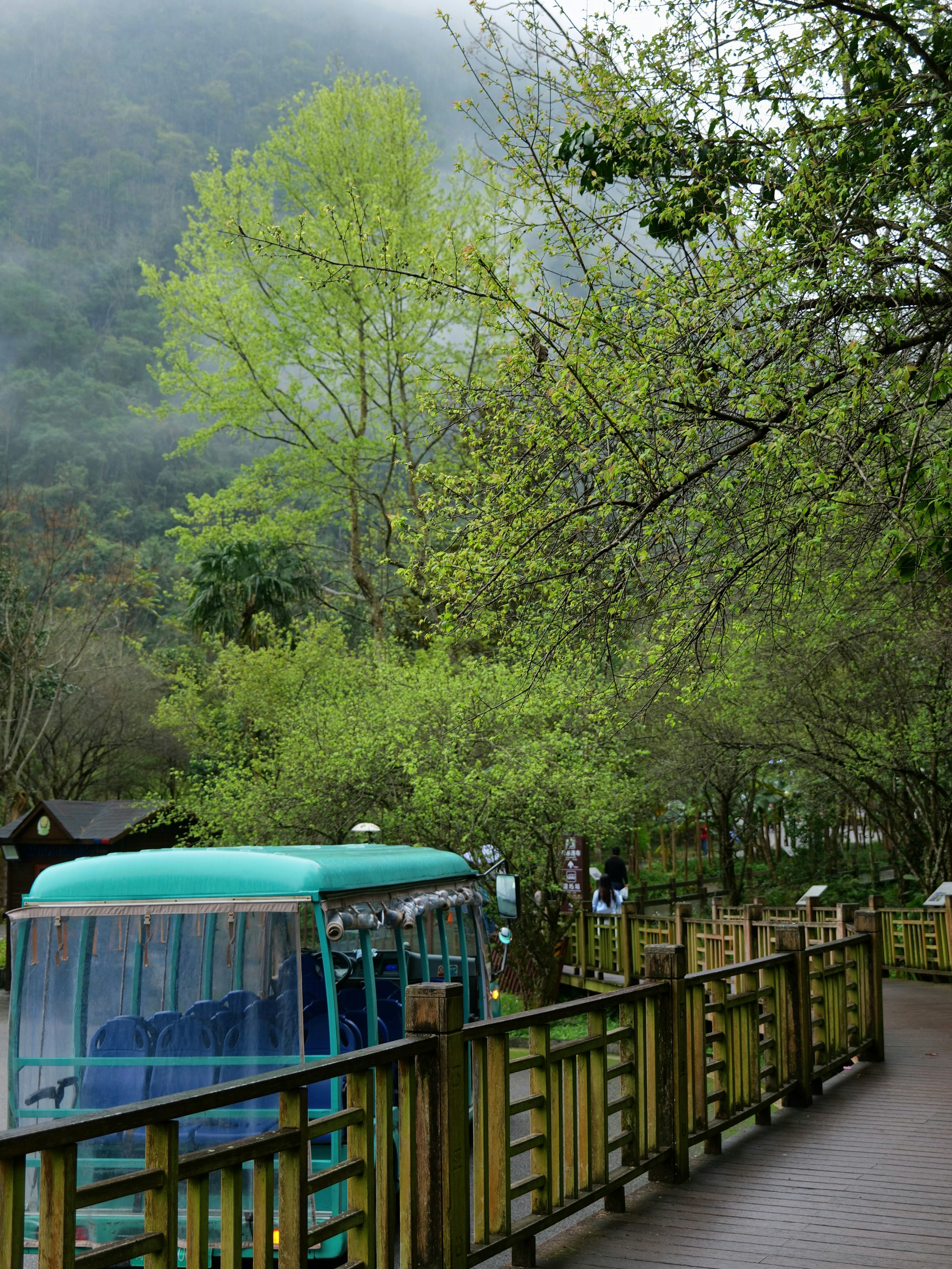 Green Corridor: A Serene Walk Along the Lakefront Tram