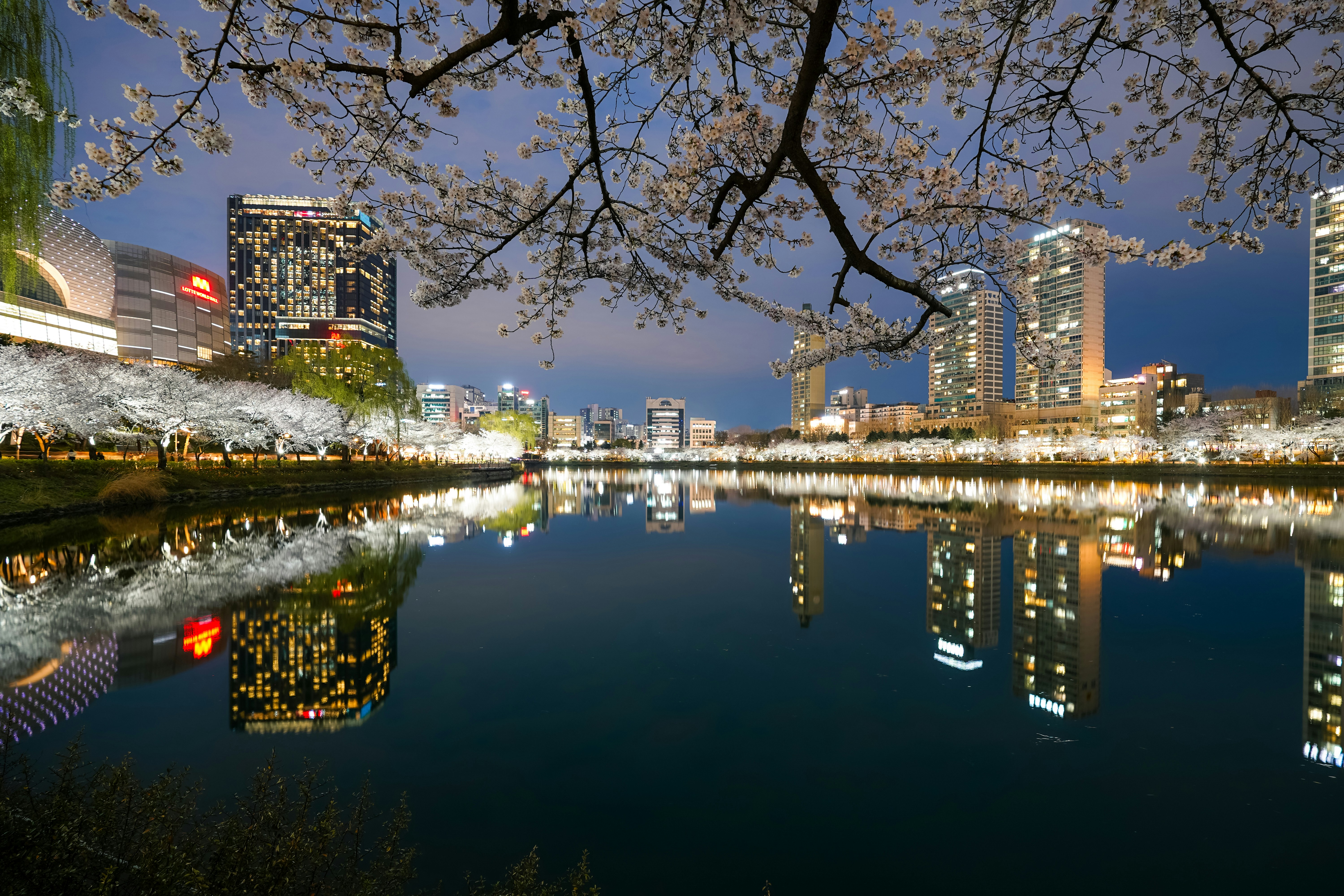 Neon Reflections Across Midnight Waterfront