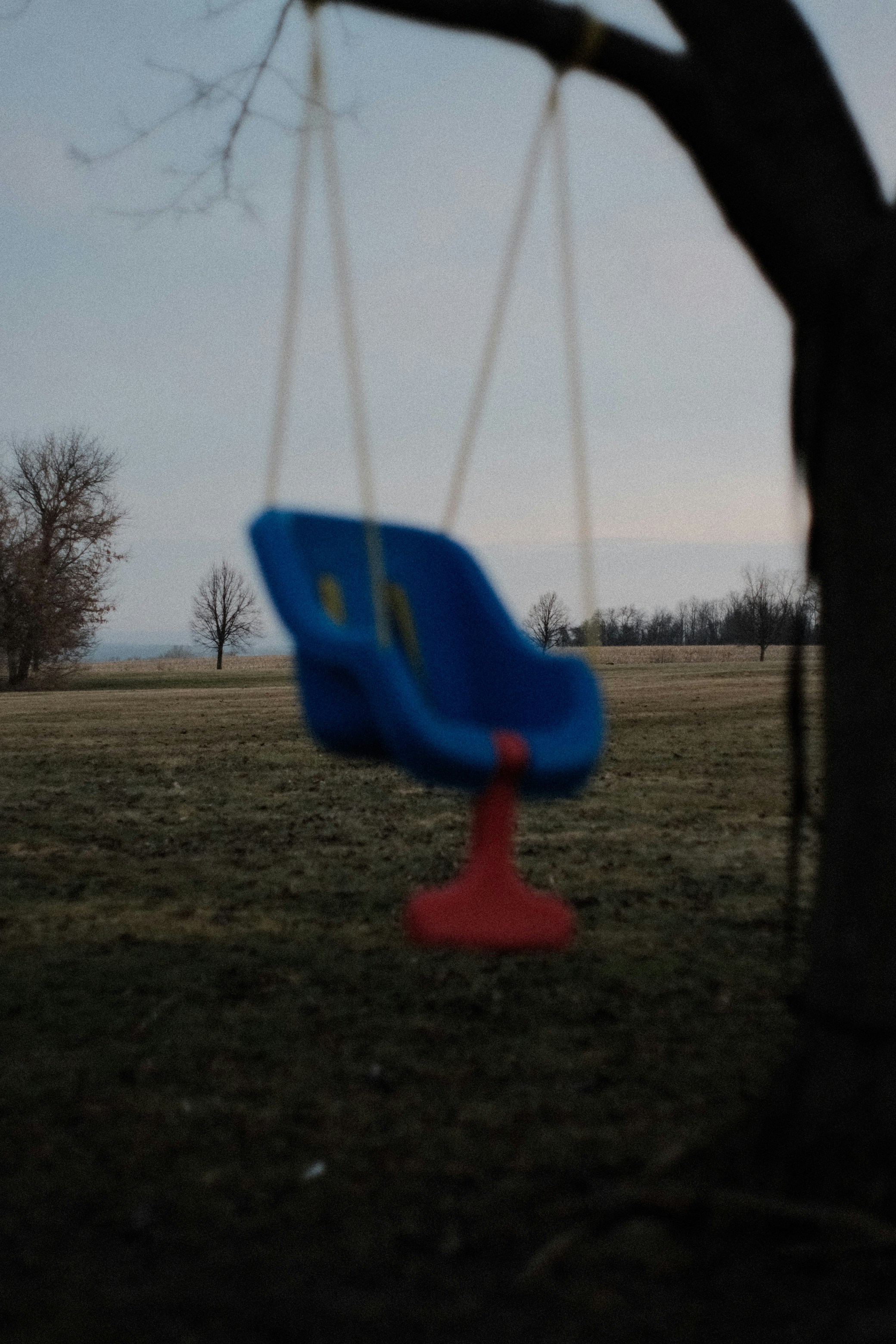 A blue swing hangs from a tree branch
