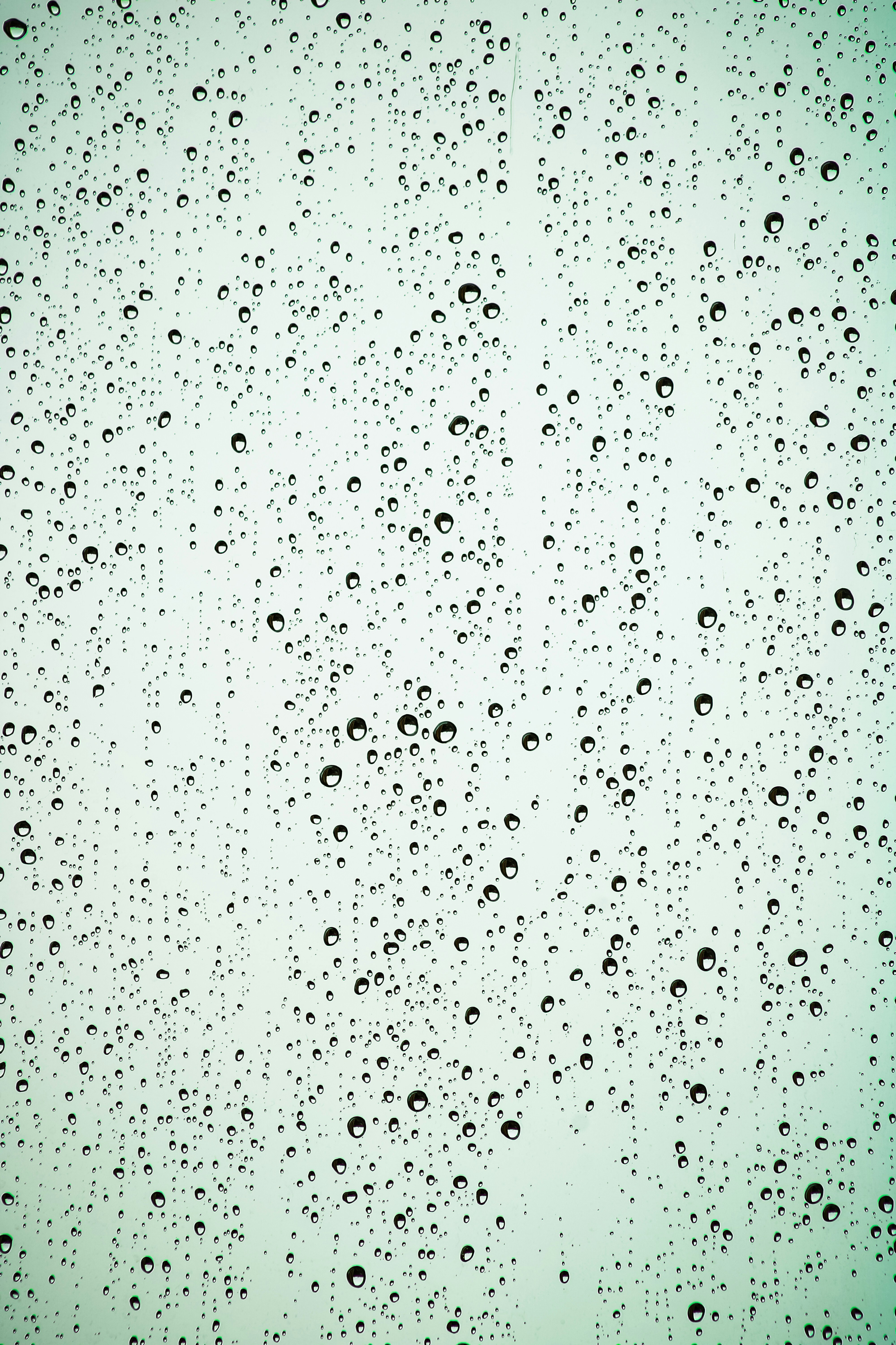 Raindrop Mosaic on Glass: A Close-Up of Quiet Rain