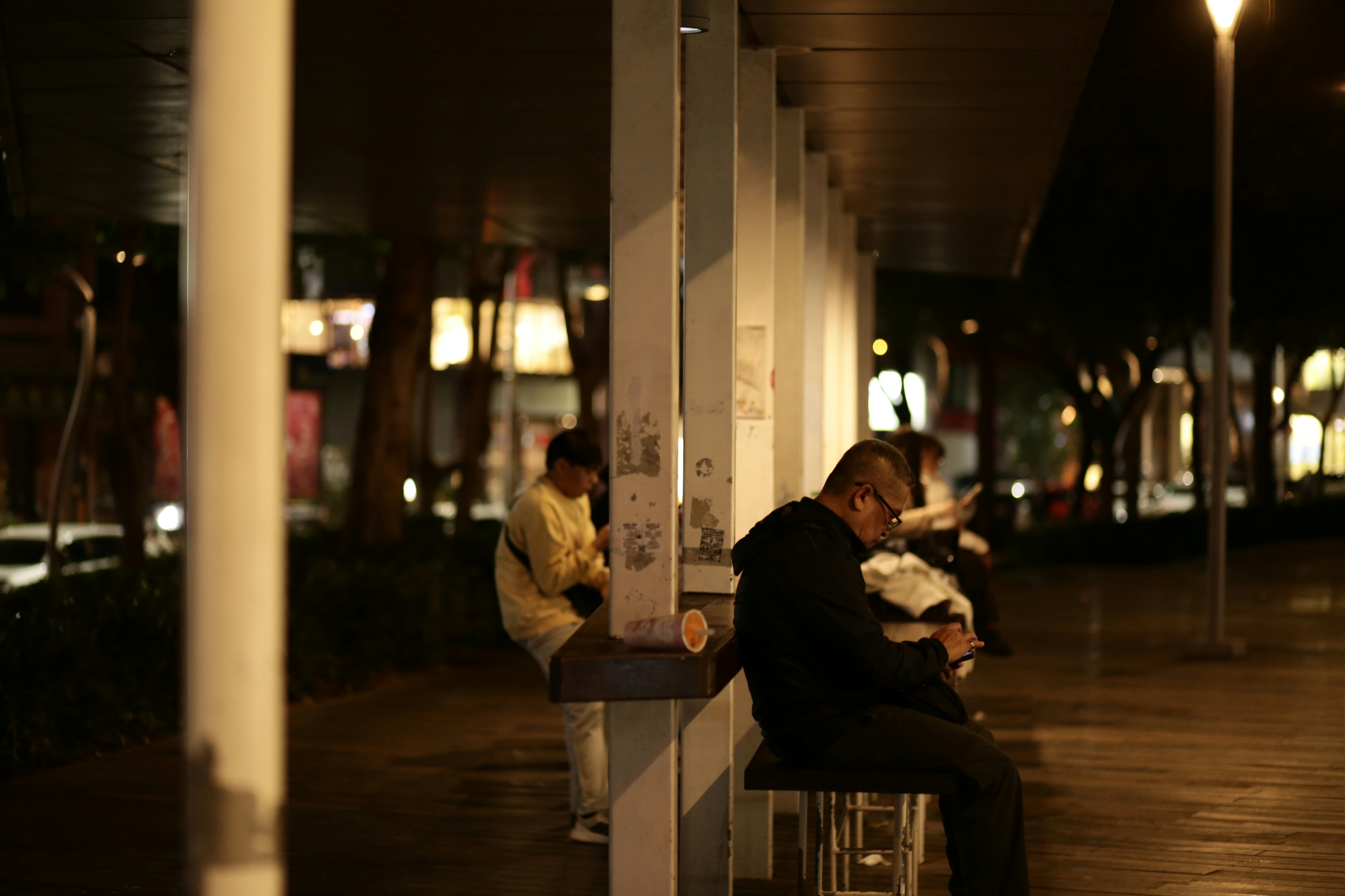 Quiet Night at the Columned Shelter