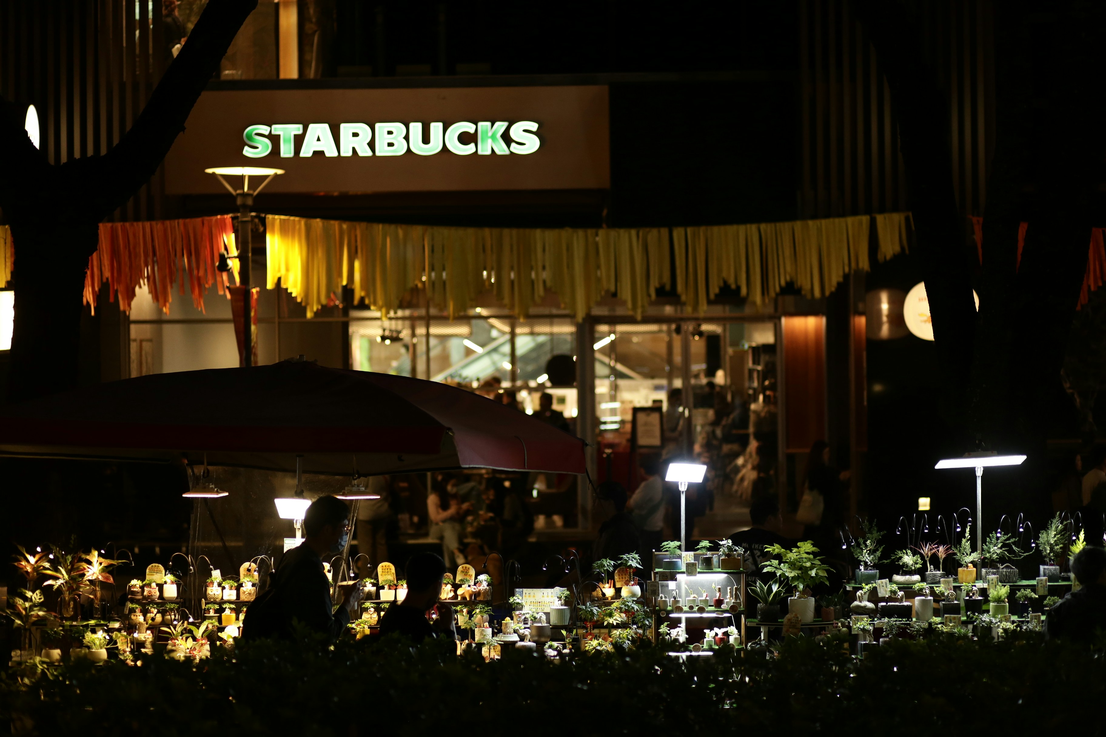 Nighttime Café Glow: Starbucks Signlit Amid Outdoor Terrace