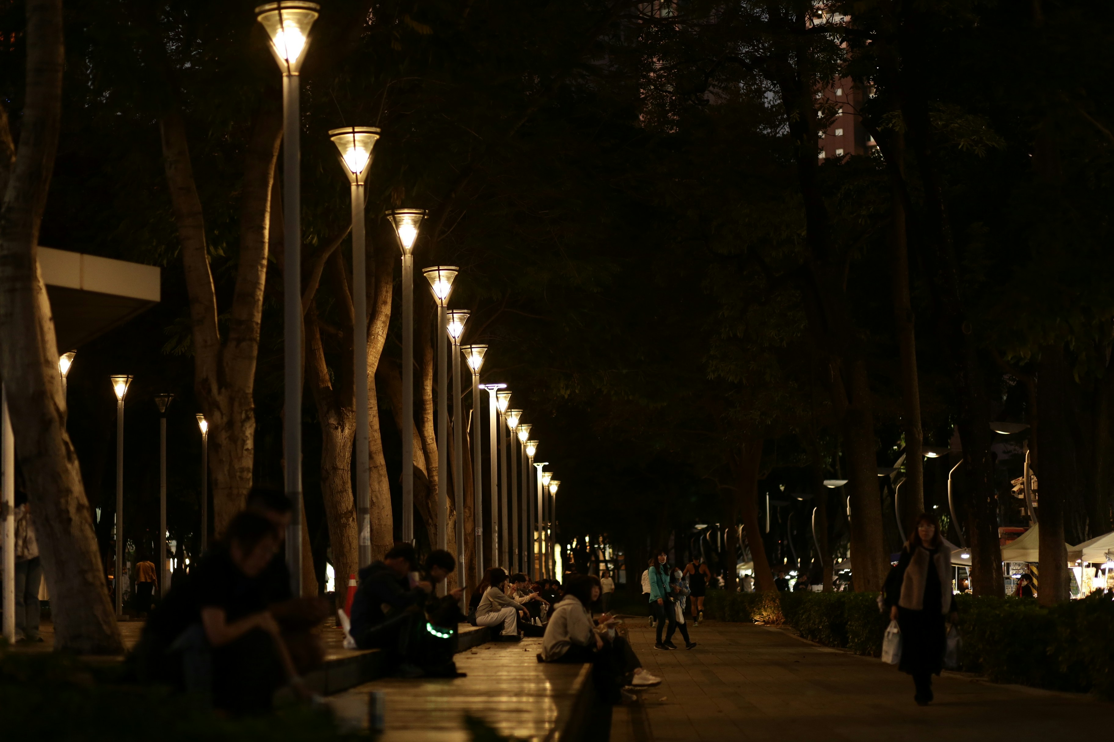 Night Walk Along the Lanterned Boardwalk