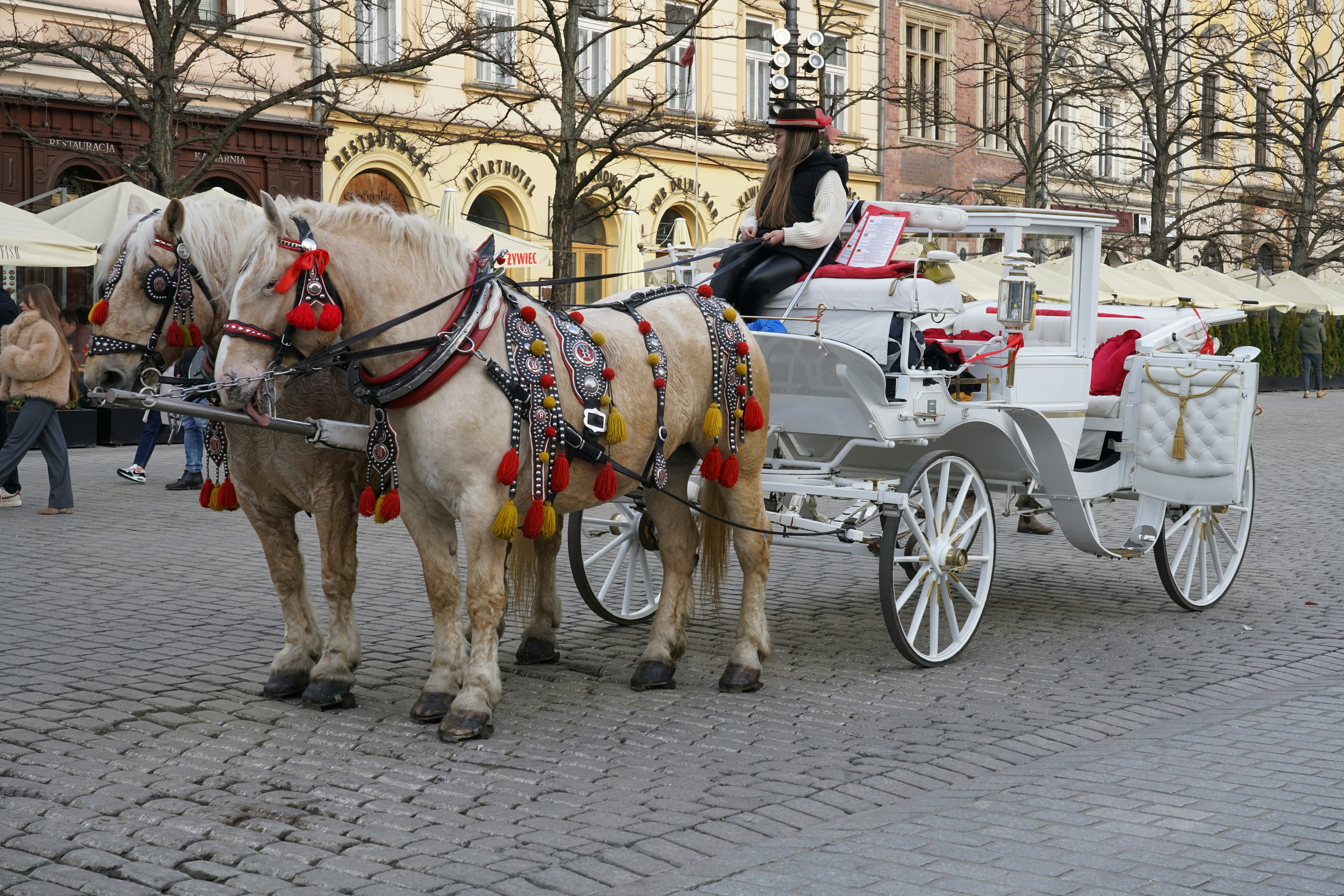 White horse-drawn carriage in a cobblestone square with festive tack