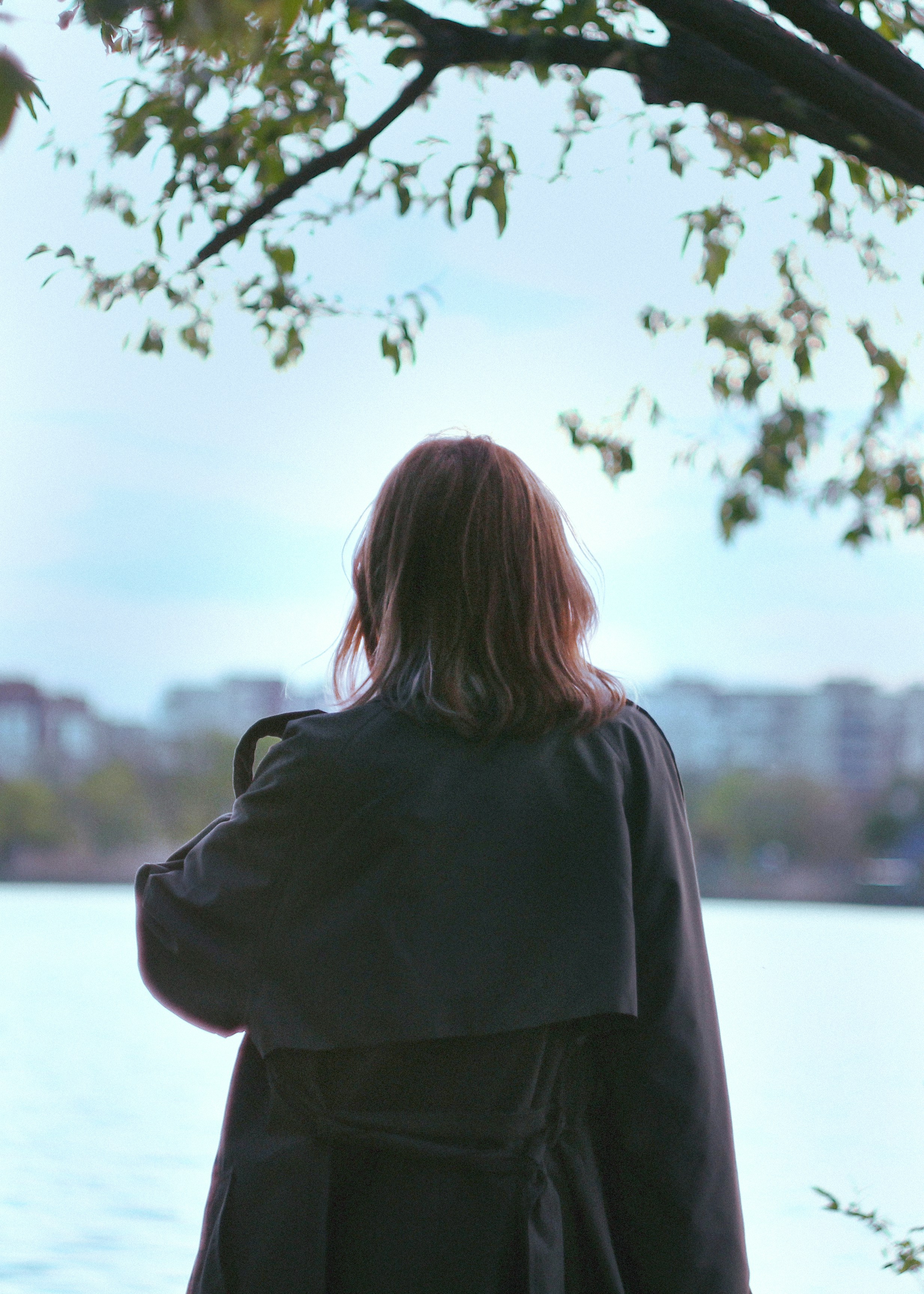 Back to the Waterfront: A Seeker in the Soft Evening Light