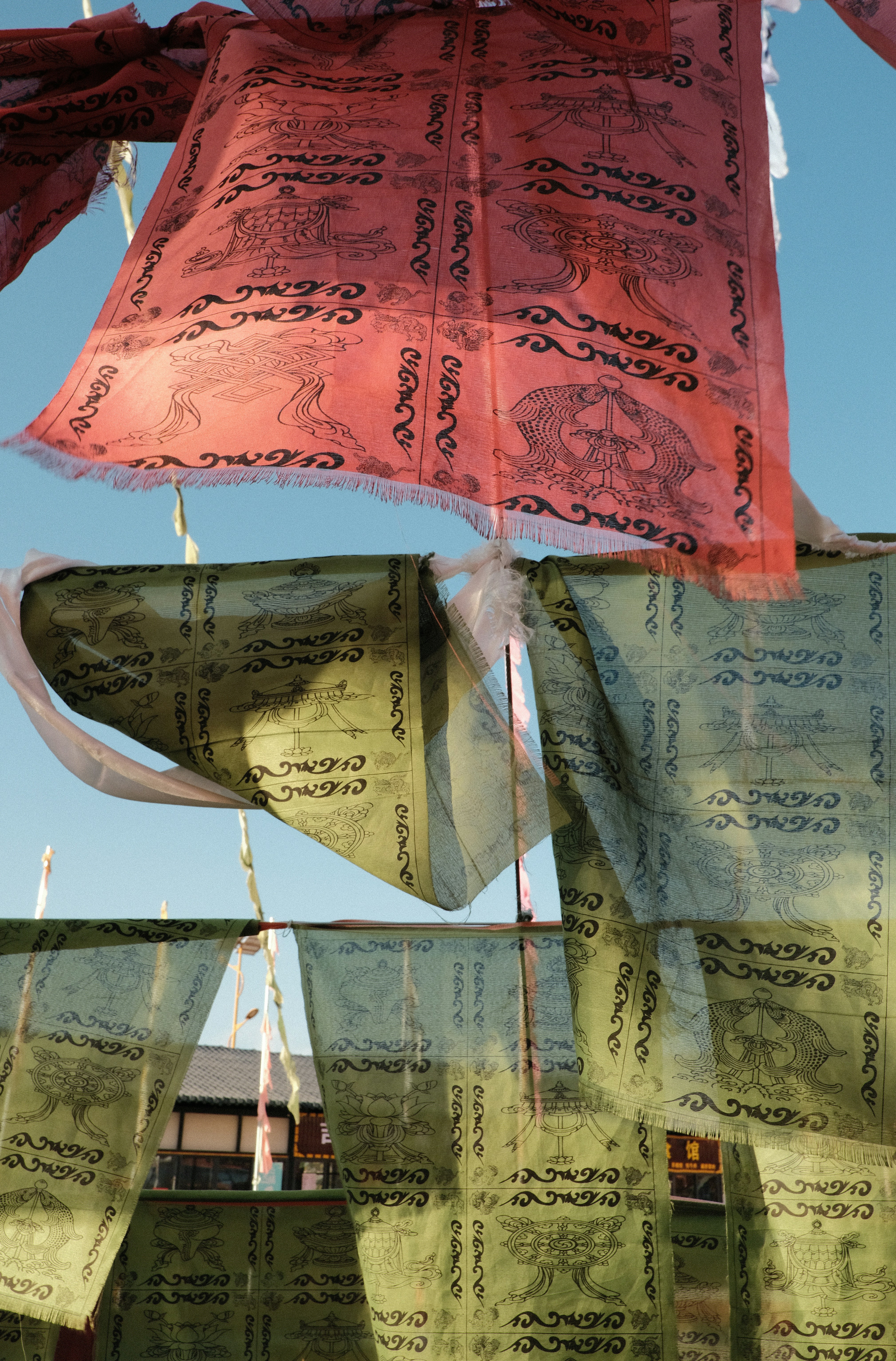 Prayer Flags in Bright Himalayan Light