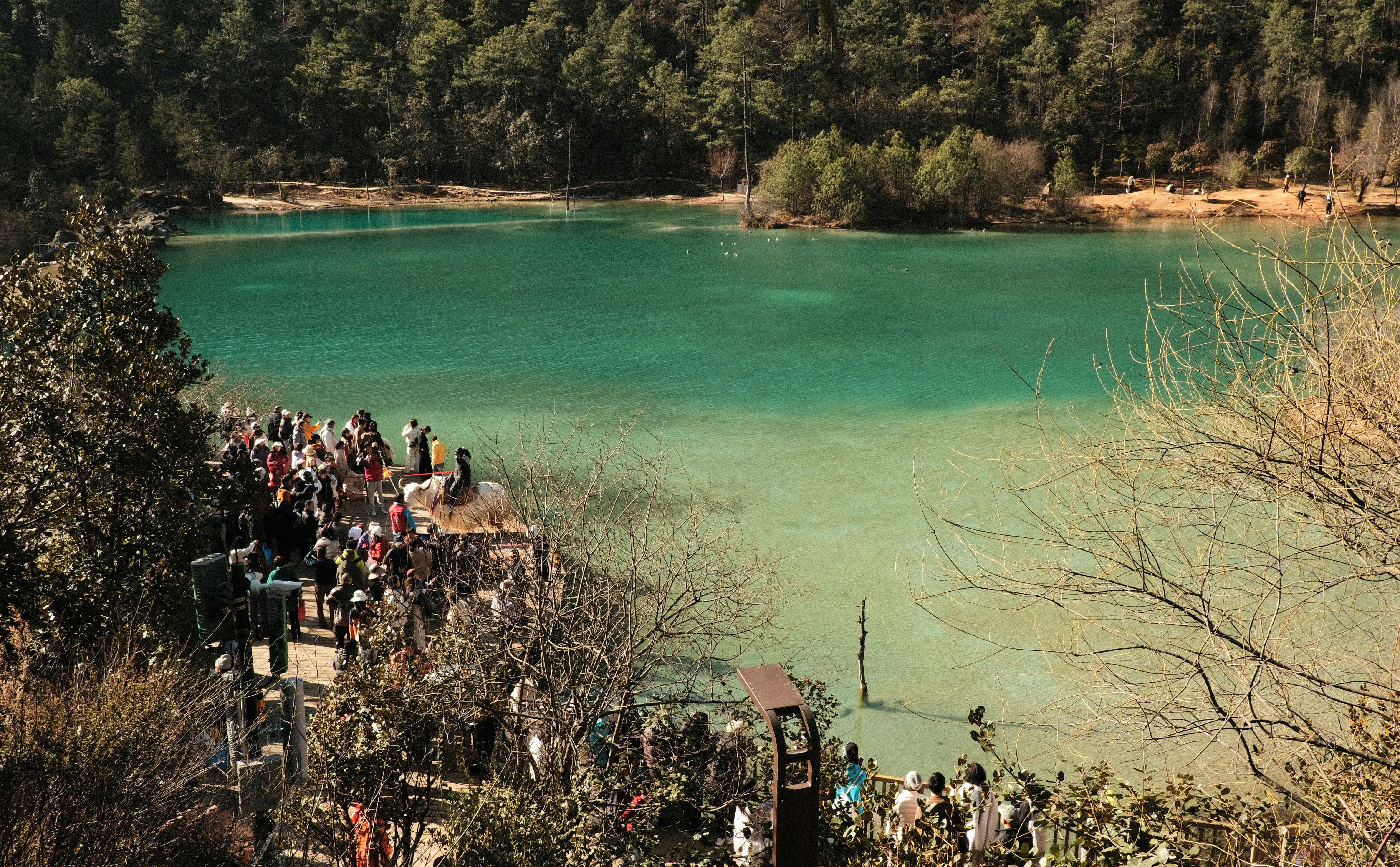 Crowd by Turquoise Shore: A Lakeside Convergence