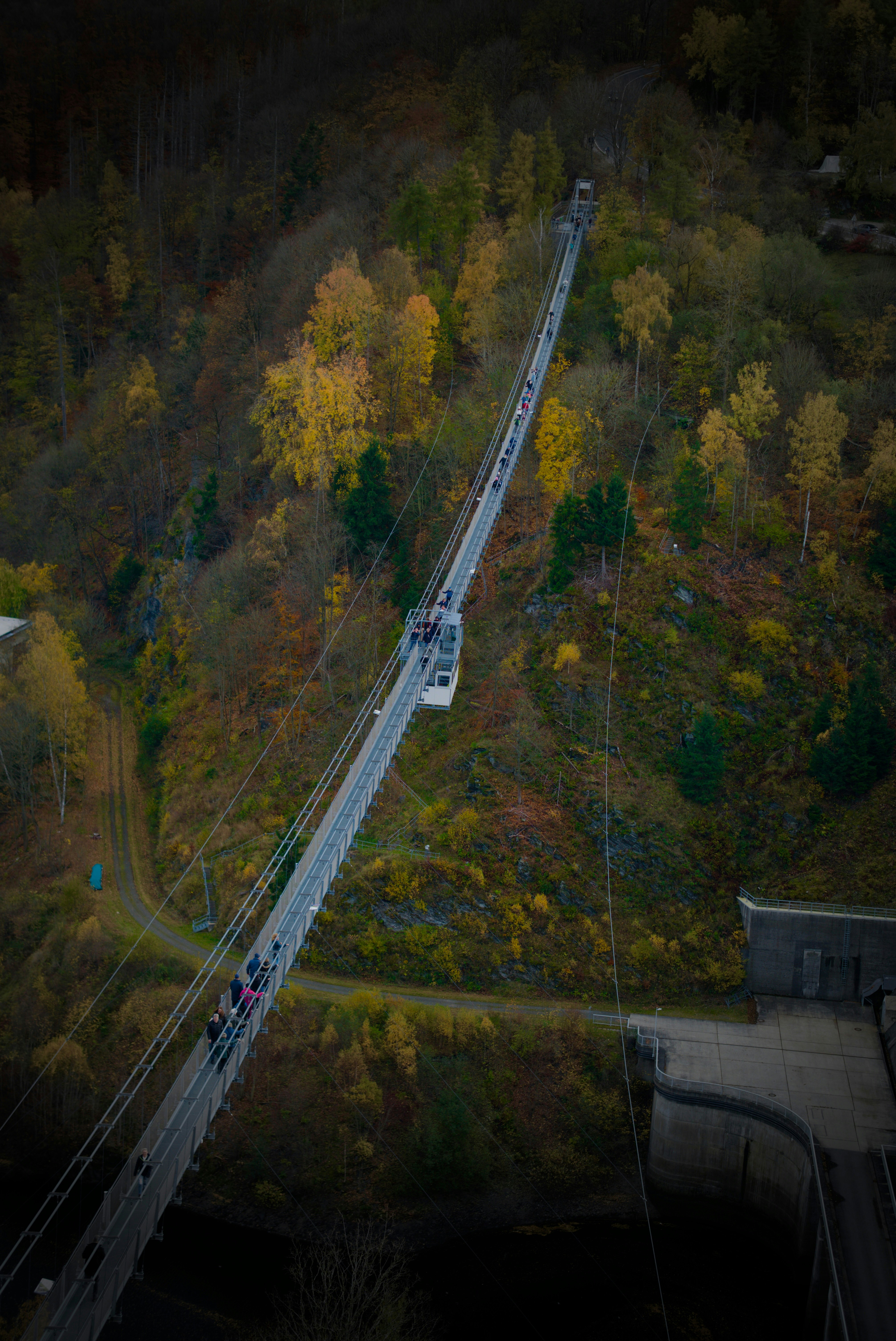 Cable Car Spanover: Autumn Road Across a Forested Gorge