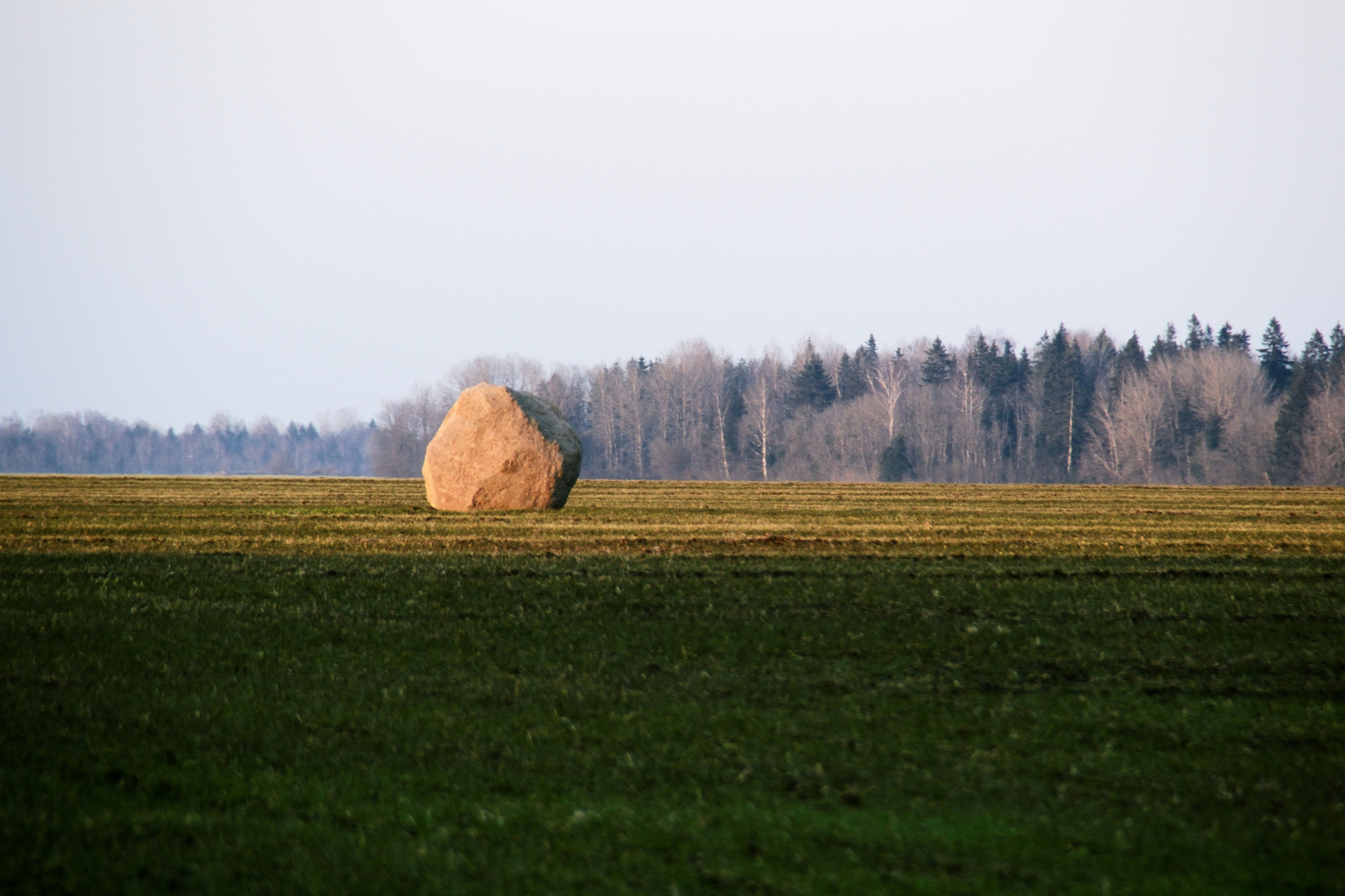  solitary hay bale under an empty horizon