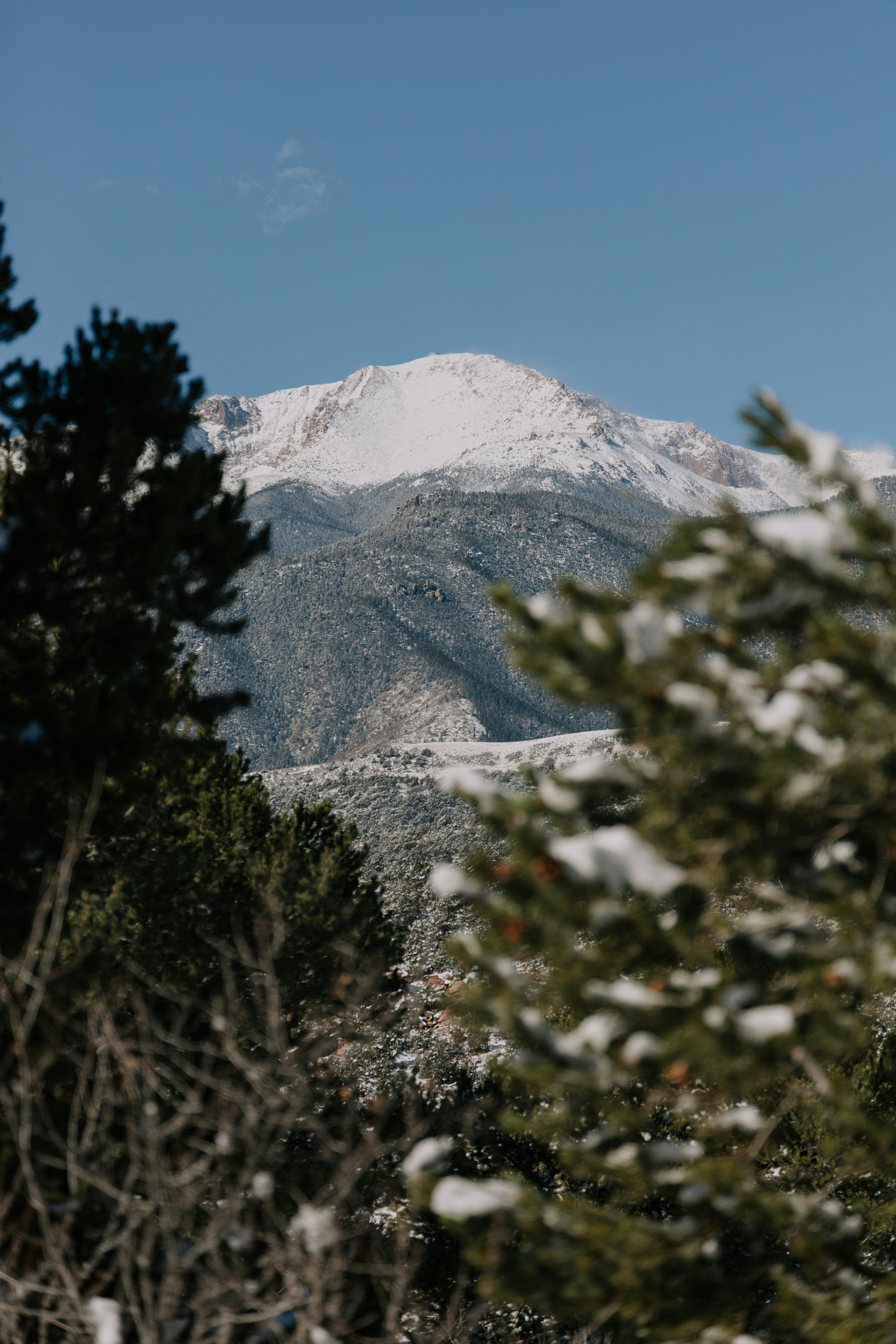 Snow-capped Peak Framed by Forest in Crisp Alpine Light