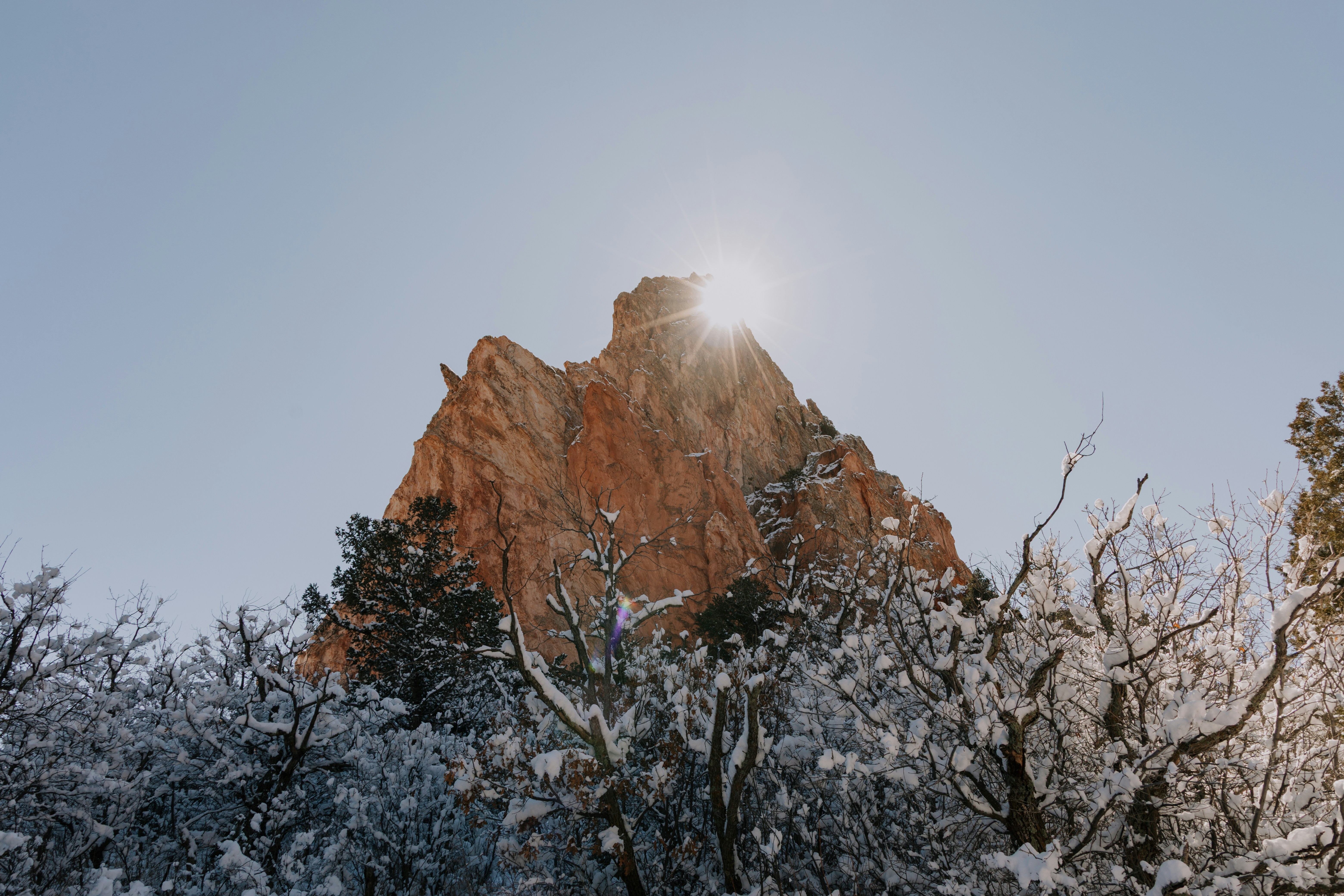 Sunlit Summit: Jagged Peak Rising Above Snowbound Trees