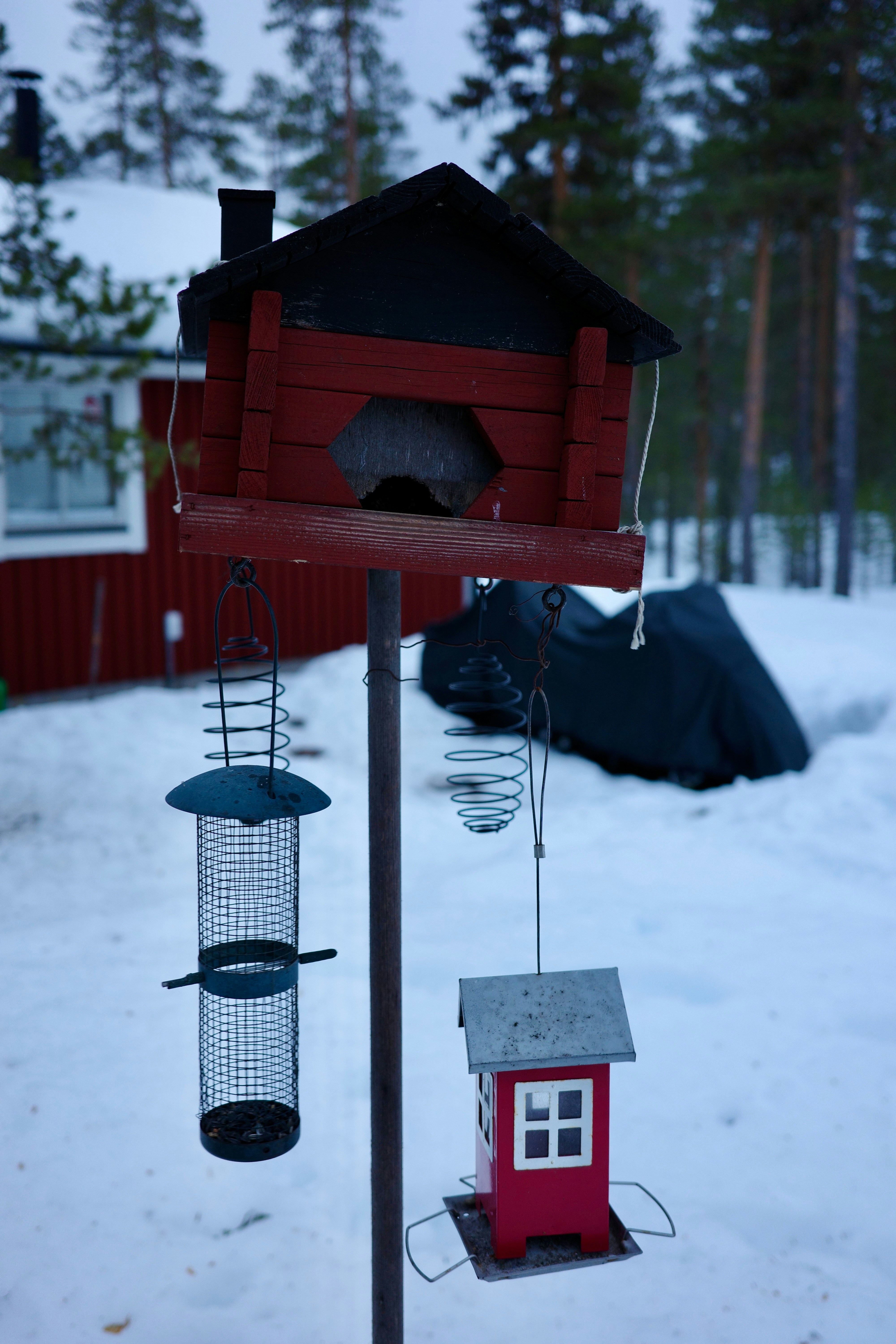 Snowy Birdhouse Quartet: A Quiet Evening by the Feeder