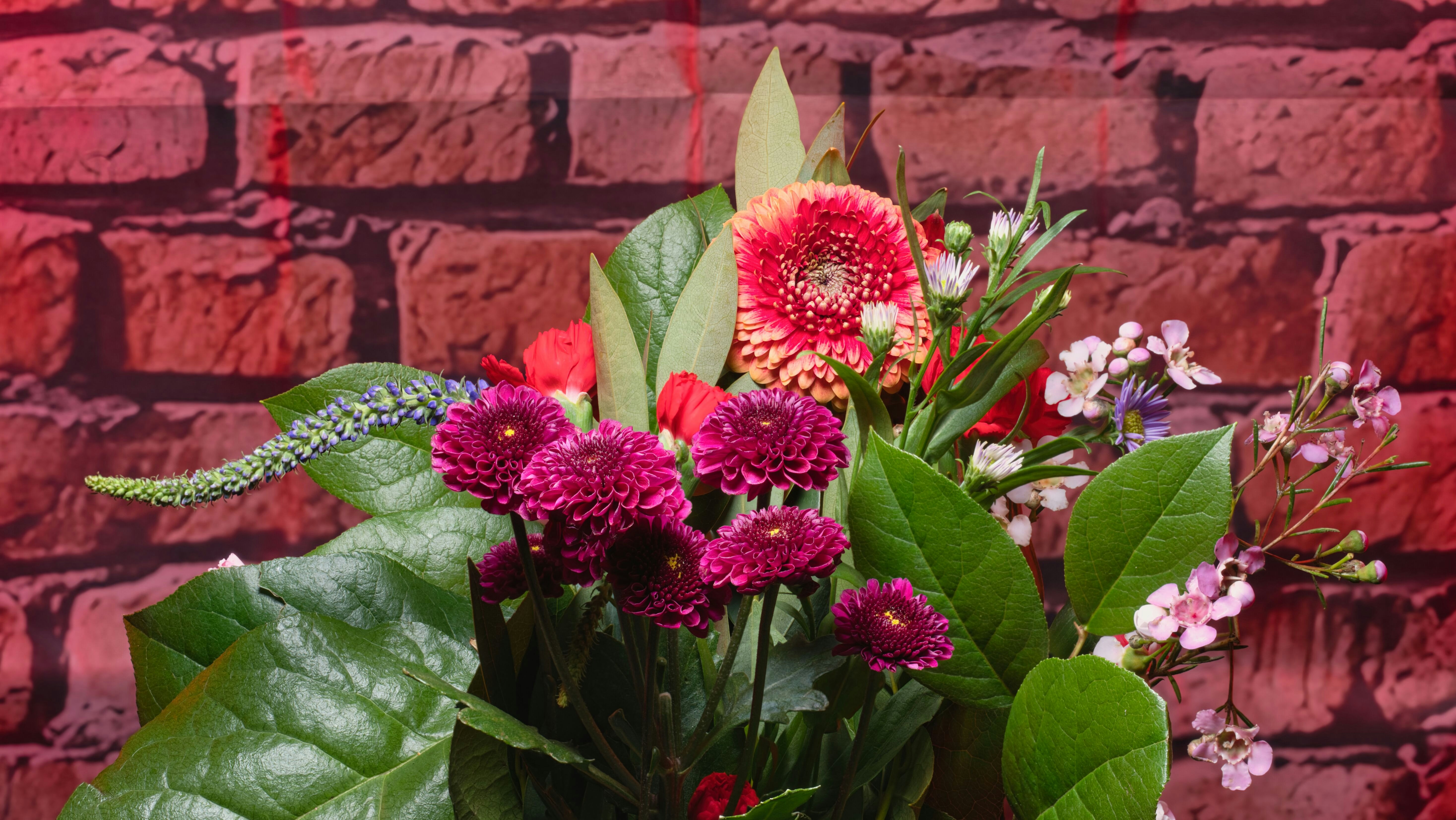 Crimson Bouquet Against Brickwork: A Burst of Petals and Greenery