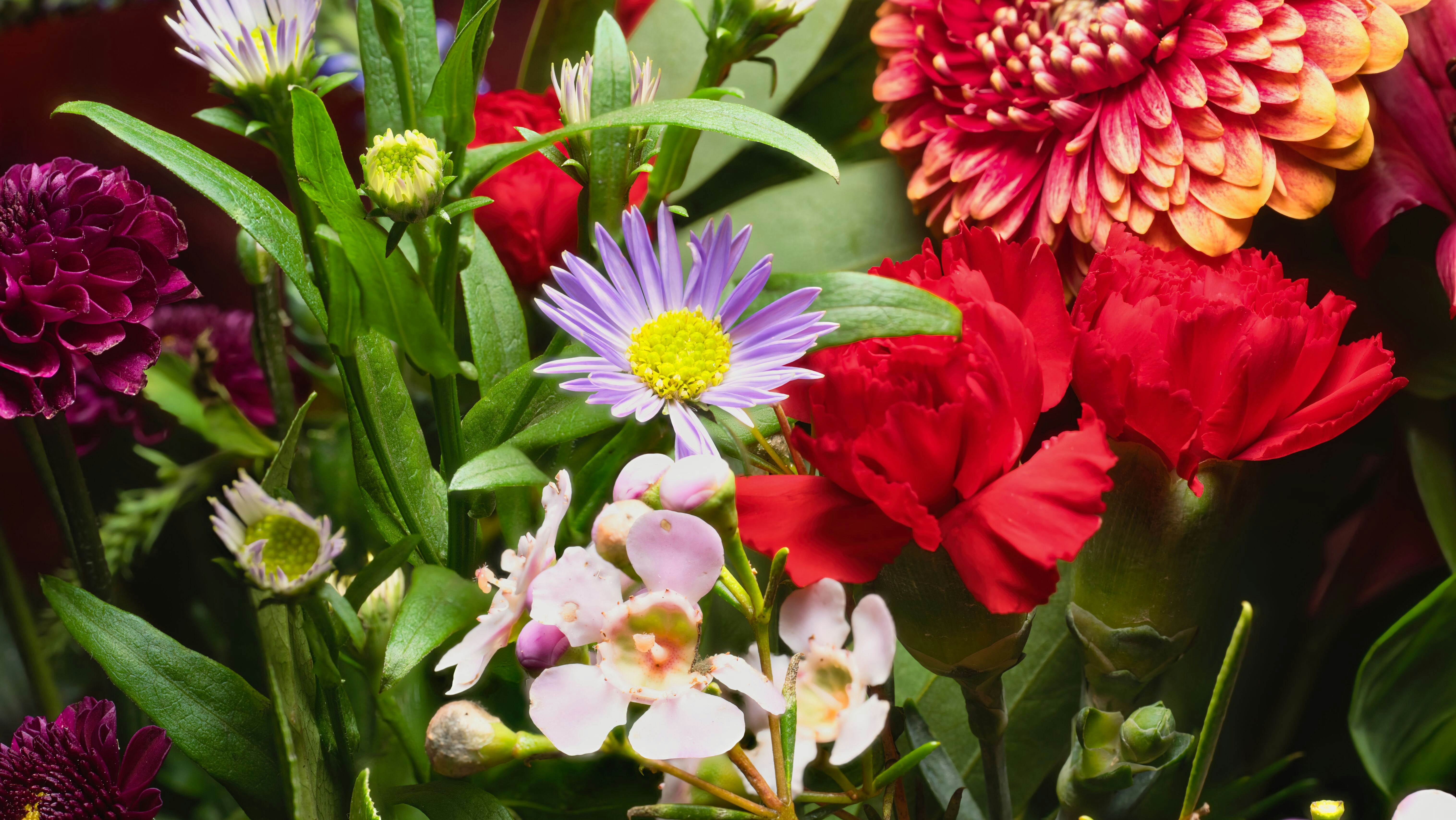 Chromatic Bouquet: A Burst of Petals and Color