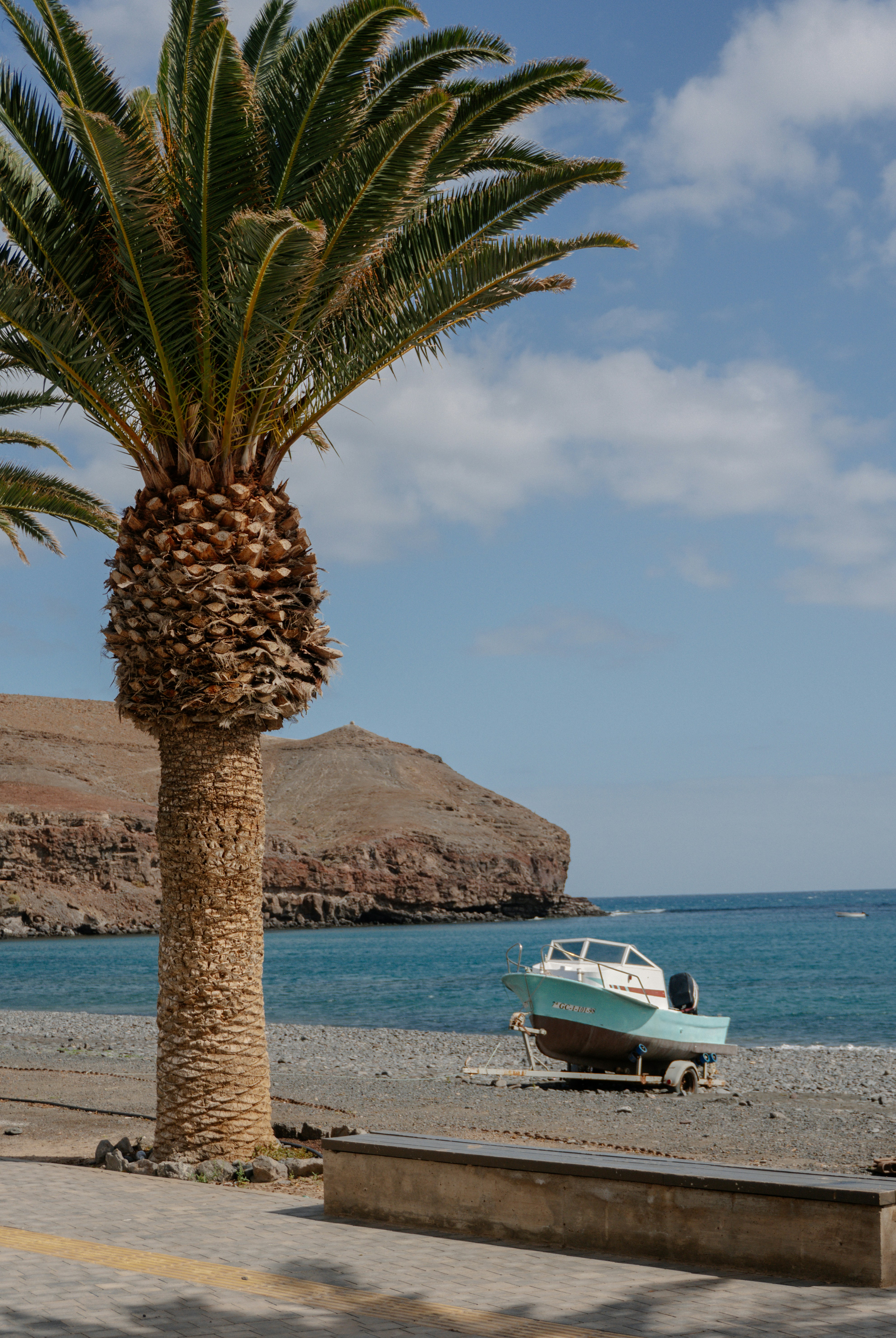 A palm tree stands tall beside a pebbled beach, with a small boat on a trailer near the water and a rocky cliff in the background. A calm seaside scene on a sunny day.