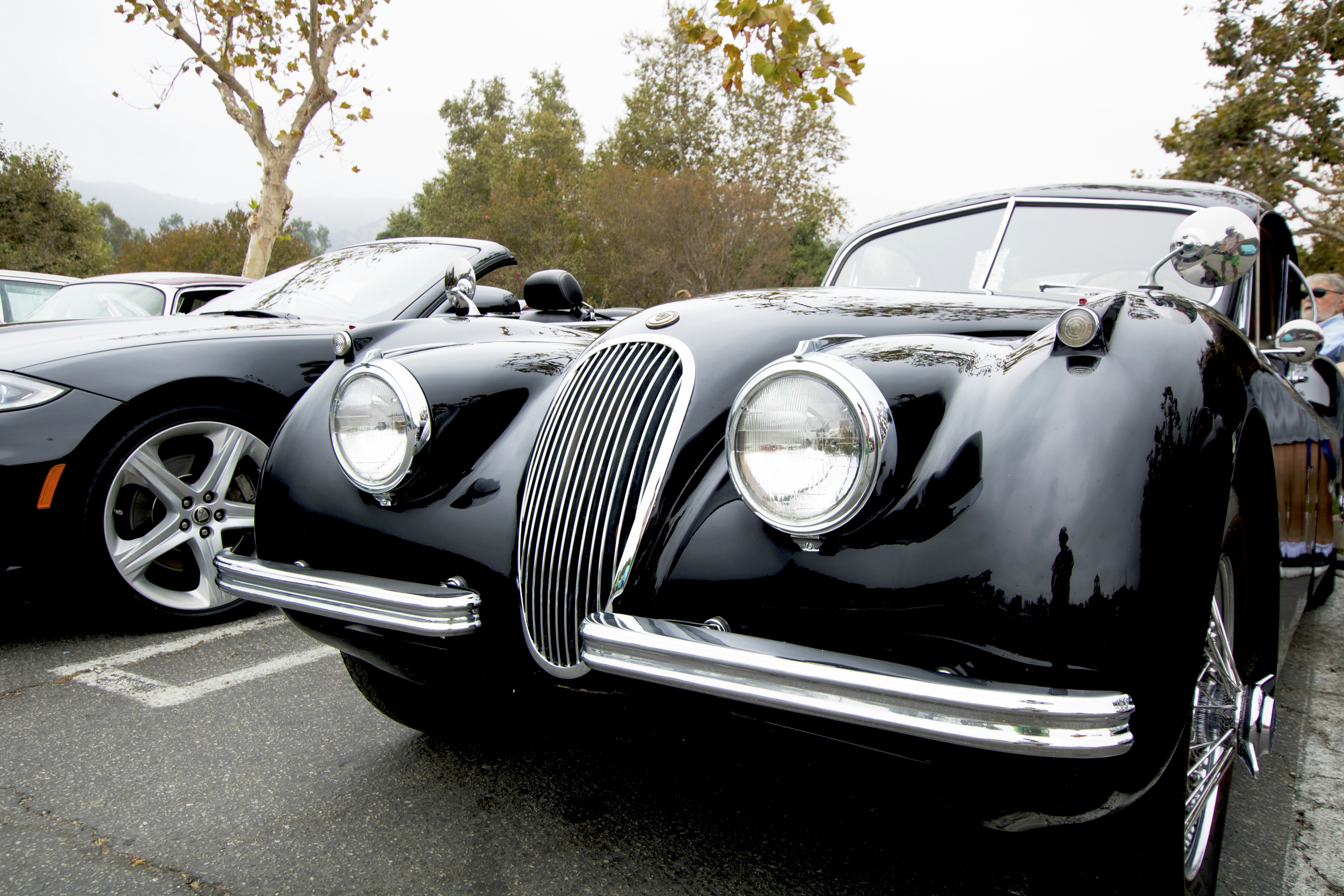 Glossy black vintage Jaguar parked at an outdoor lot, chrome details catching the light; other cars and trees form a muted background.