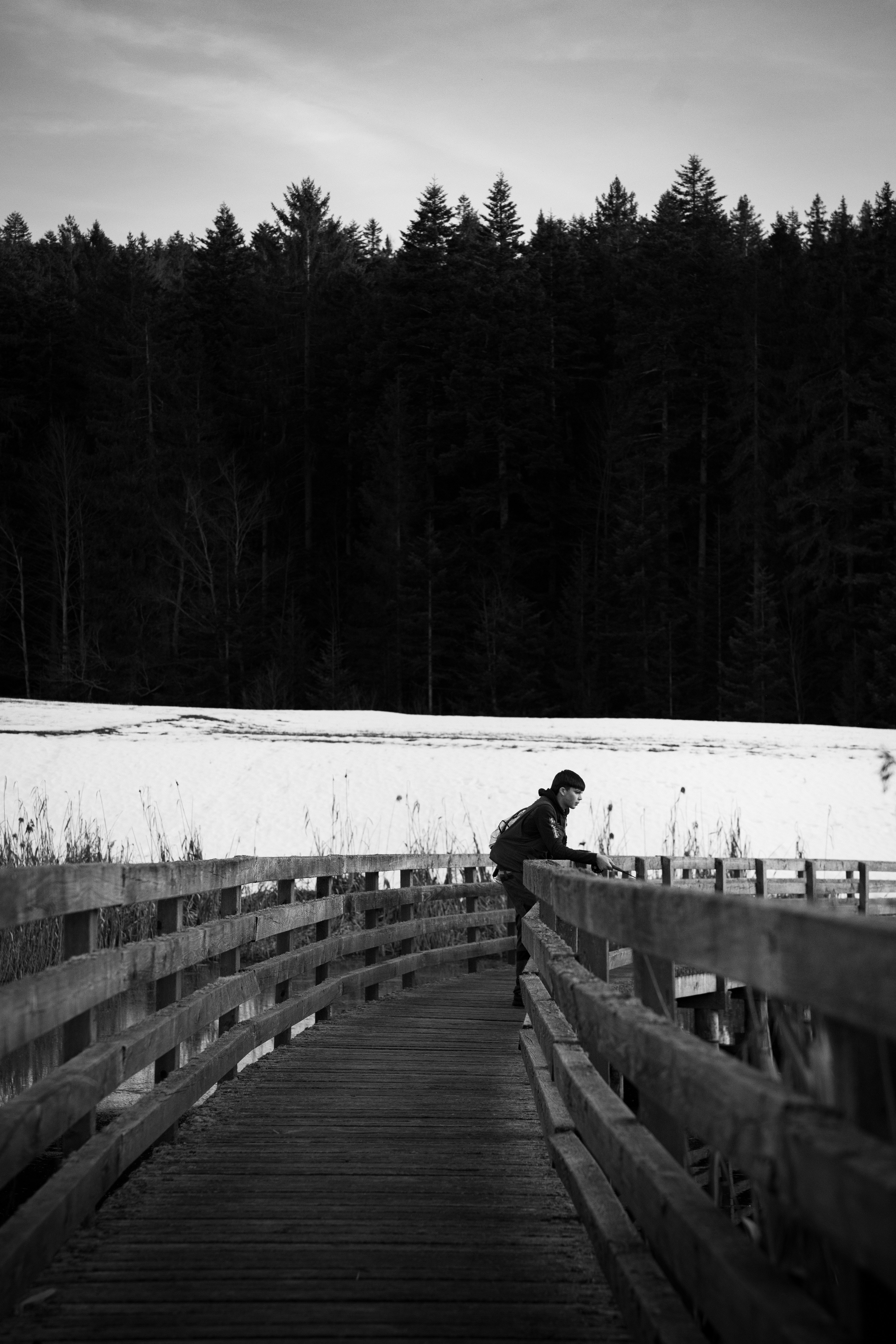 Path to the Quiet Edge: A Silhouette on the Wooden Bridge